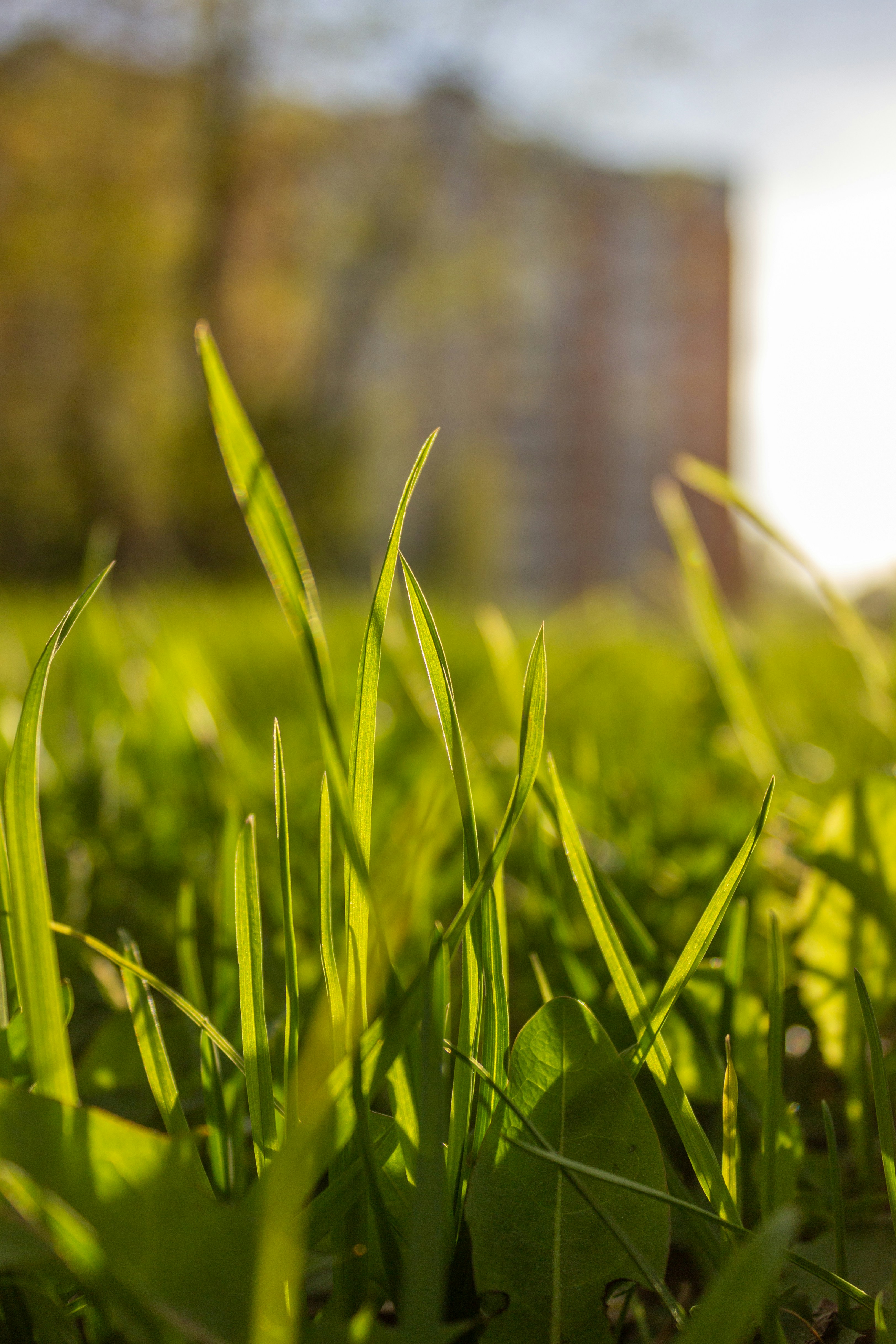 Photo by Artem Polezhaev with Canon EOS 600D