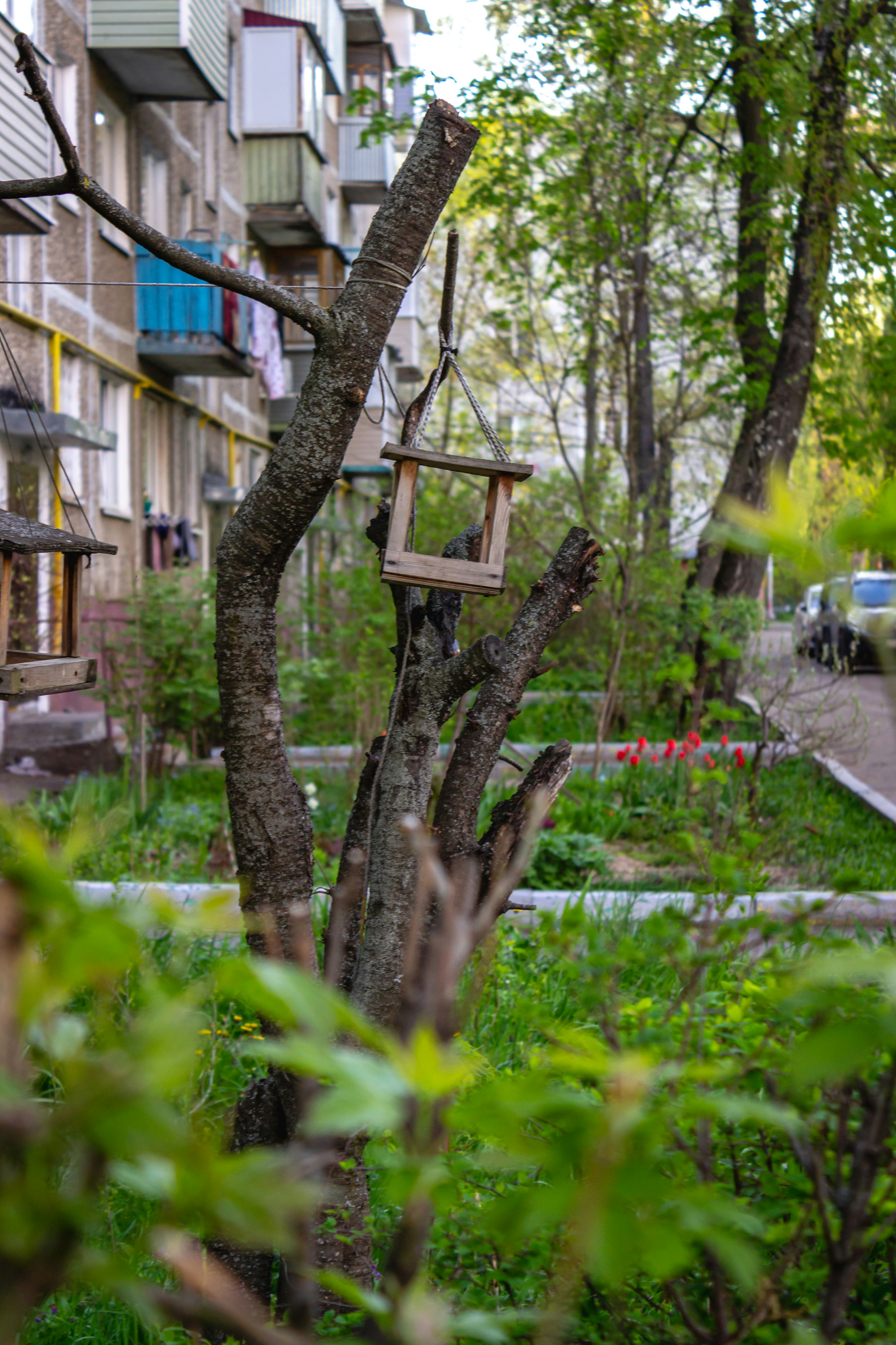 Hanging Birdhouse in a City Garden Bed