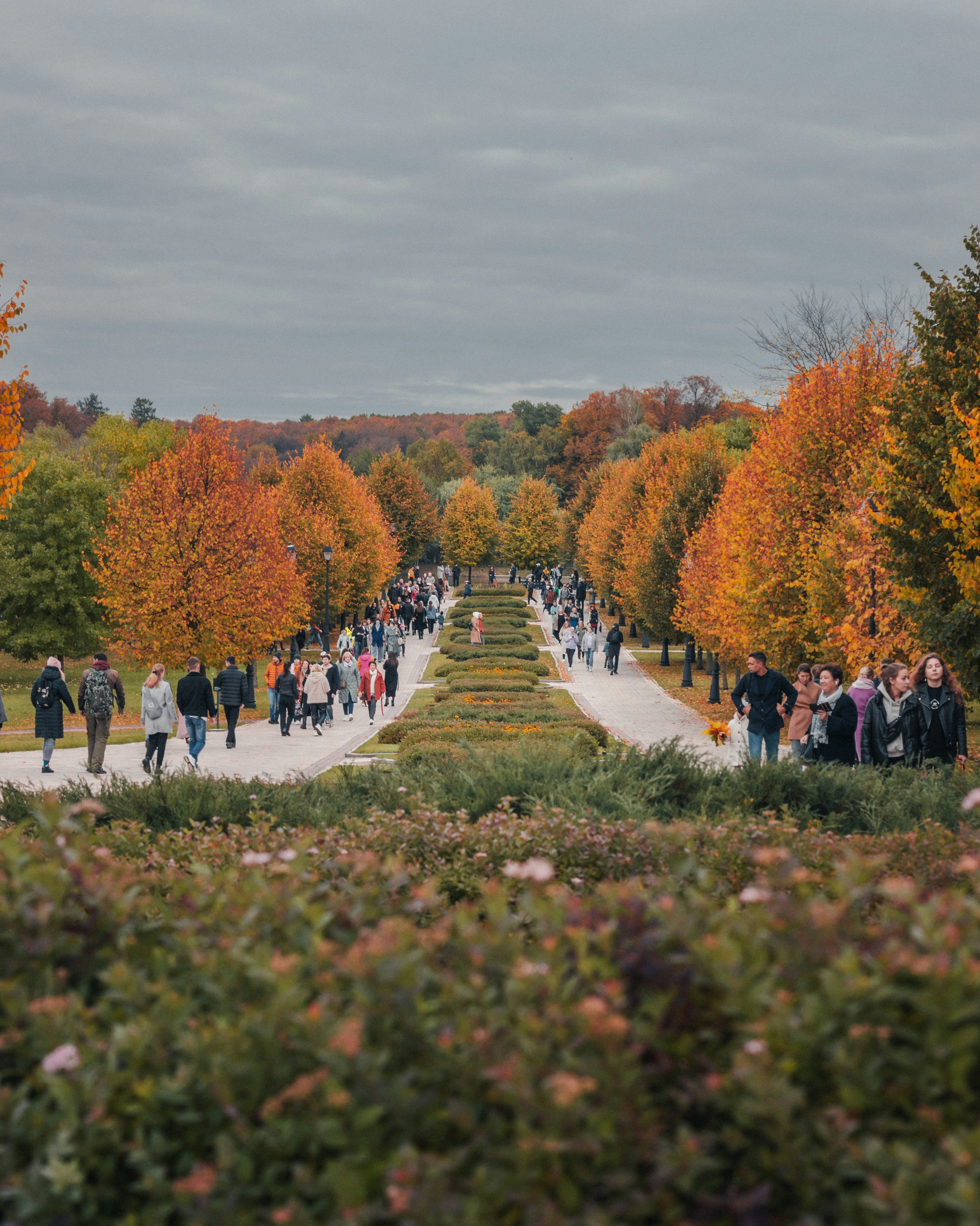 How Long Should You Walk a Day? 🚶‍♂️ 11 Expert Tips (2025) - Walkathon ...