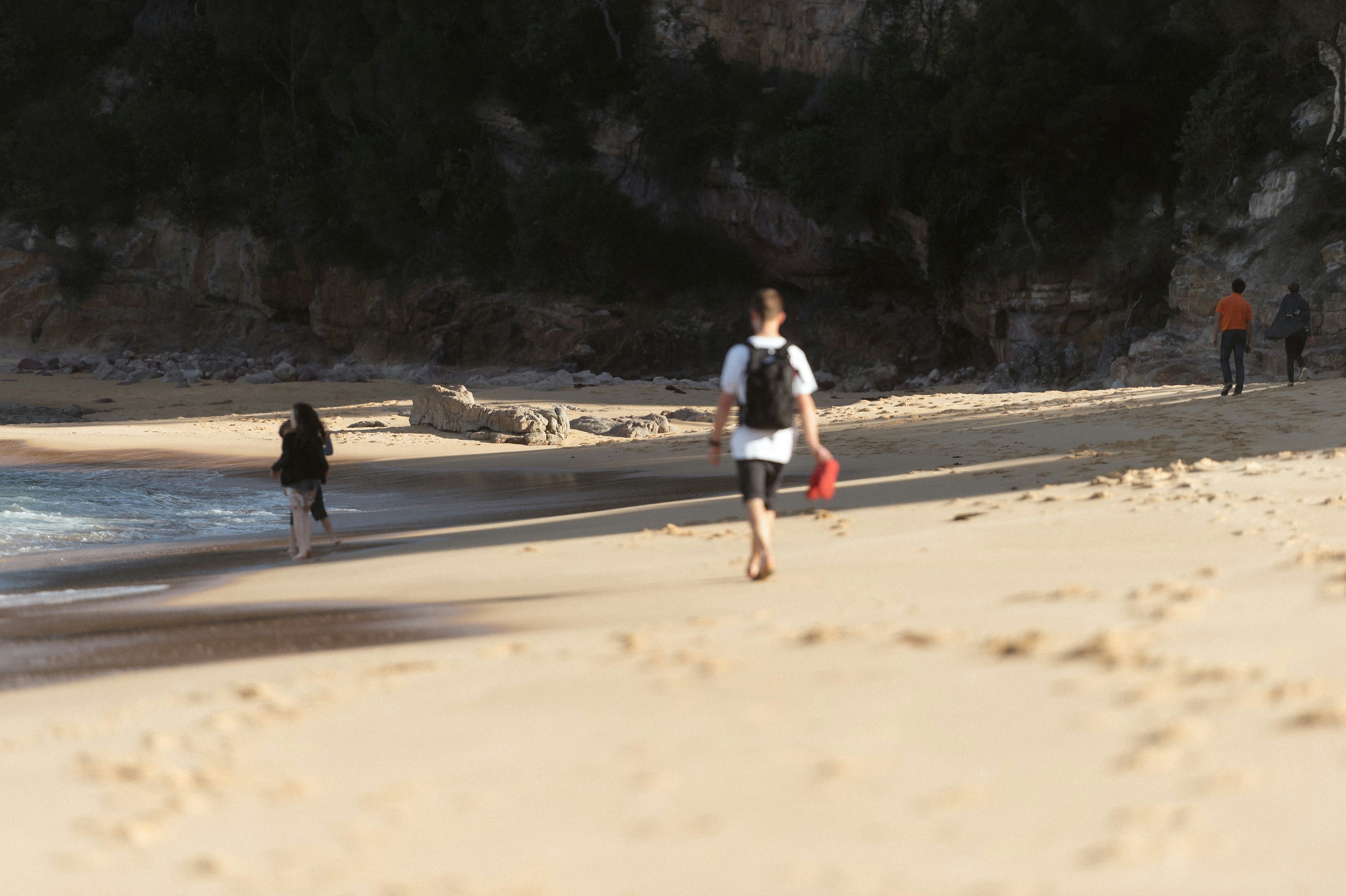 Photo by Annie Spratt with Nikon D4S