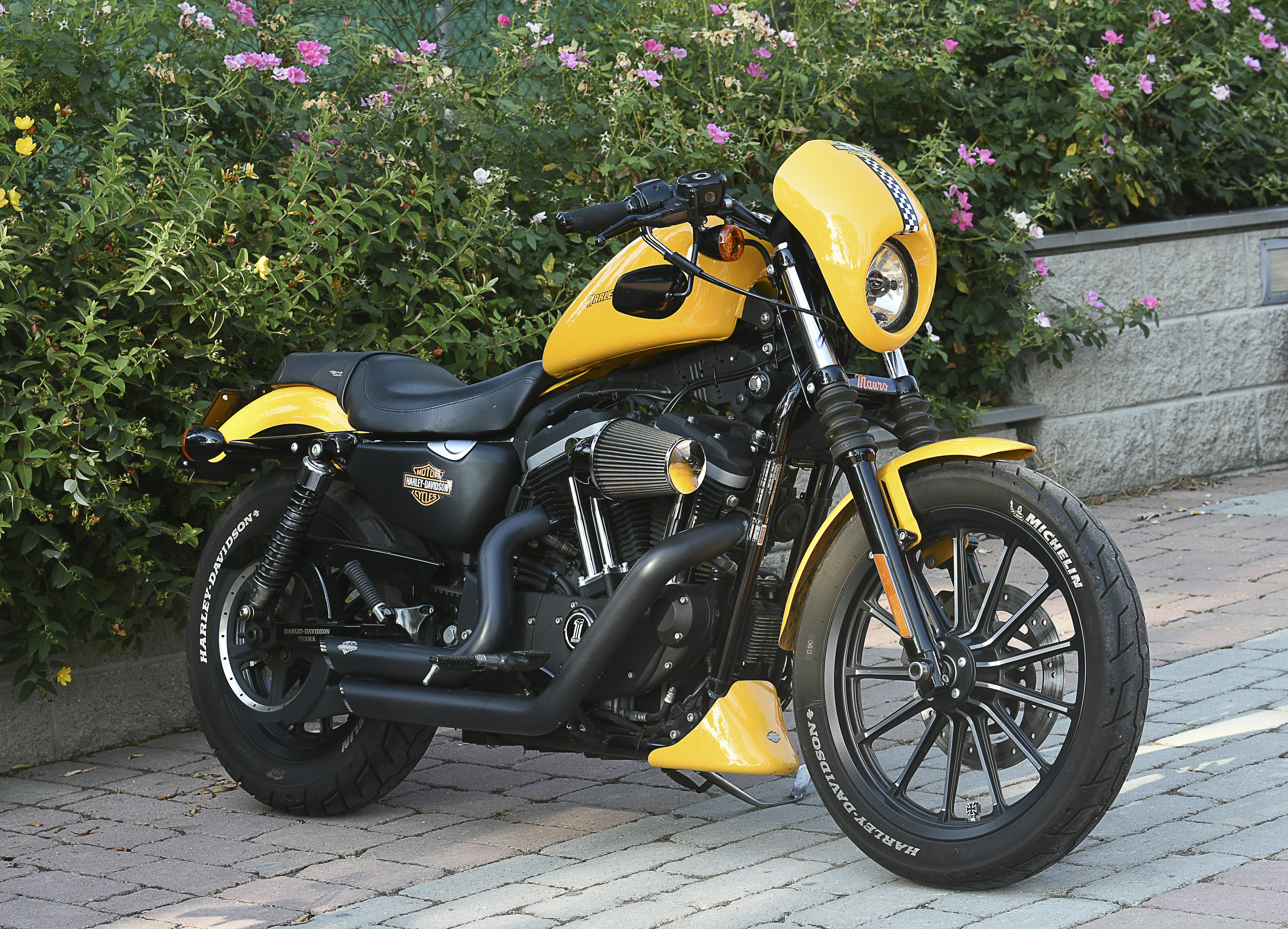 Yellow Thunder on Cobbled Lane: a glossy cafe racer framed by pink blooms