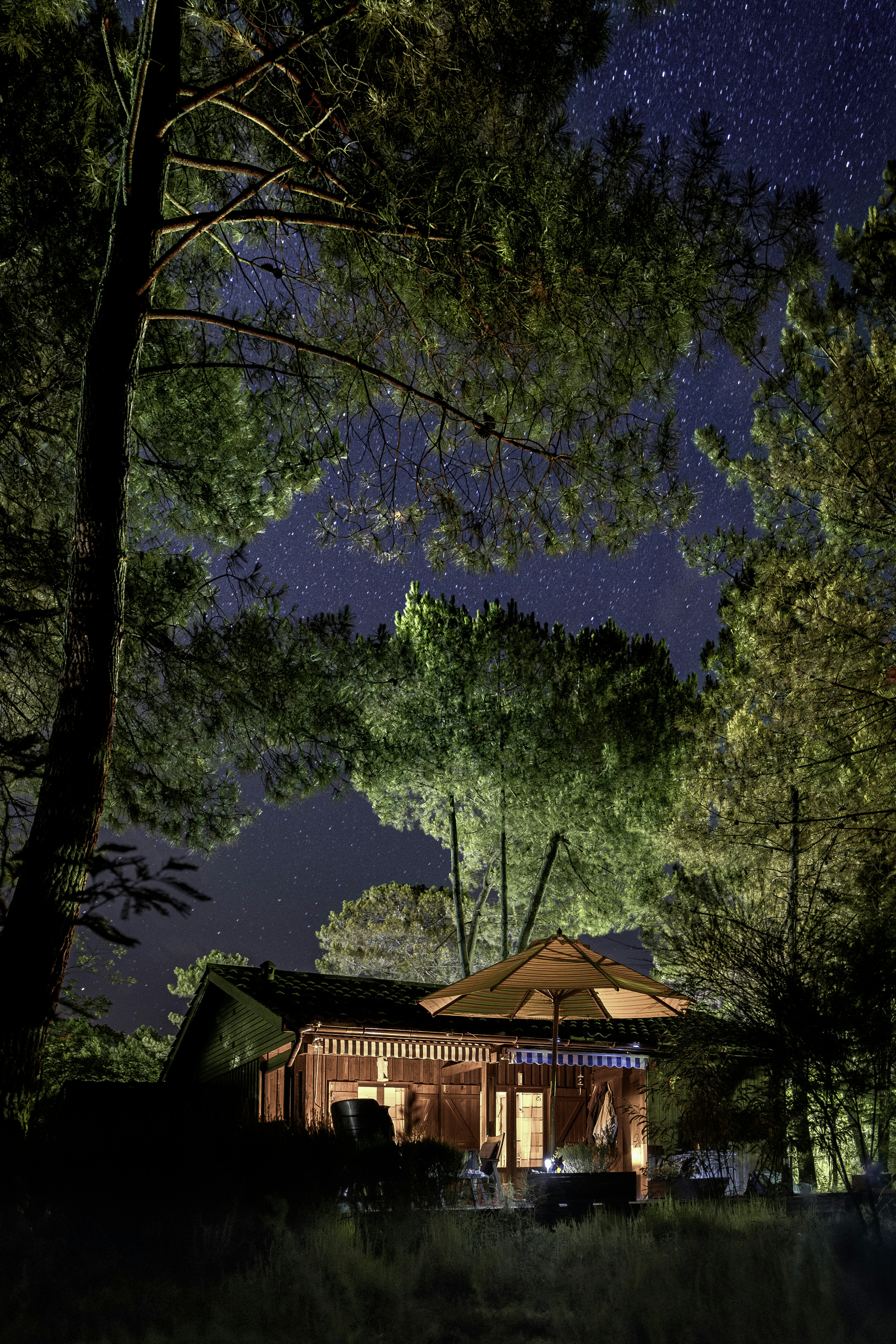 Une cabane au milieu d’une forêt la nuit photo – Photo Euronat Centre ...