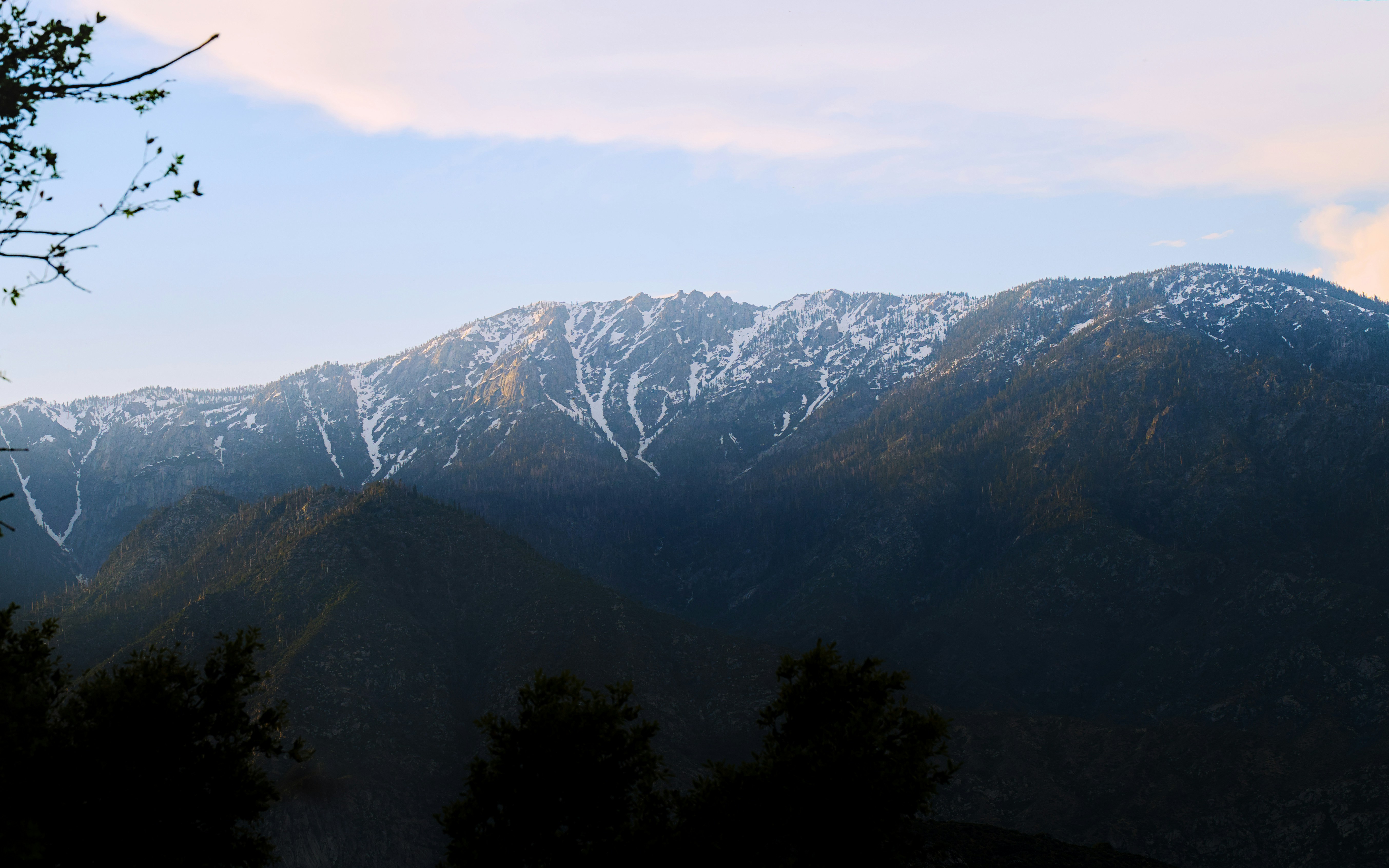 Snow-veined Ridge at Dawn Between Shadowed Pines