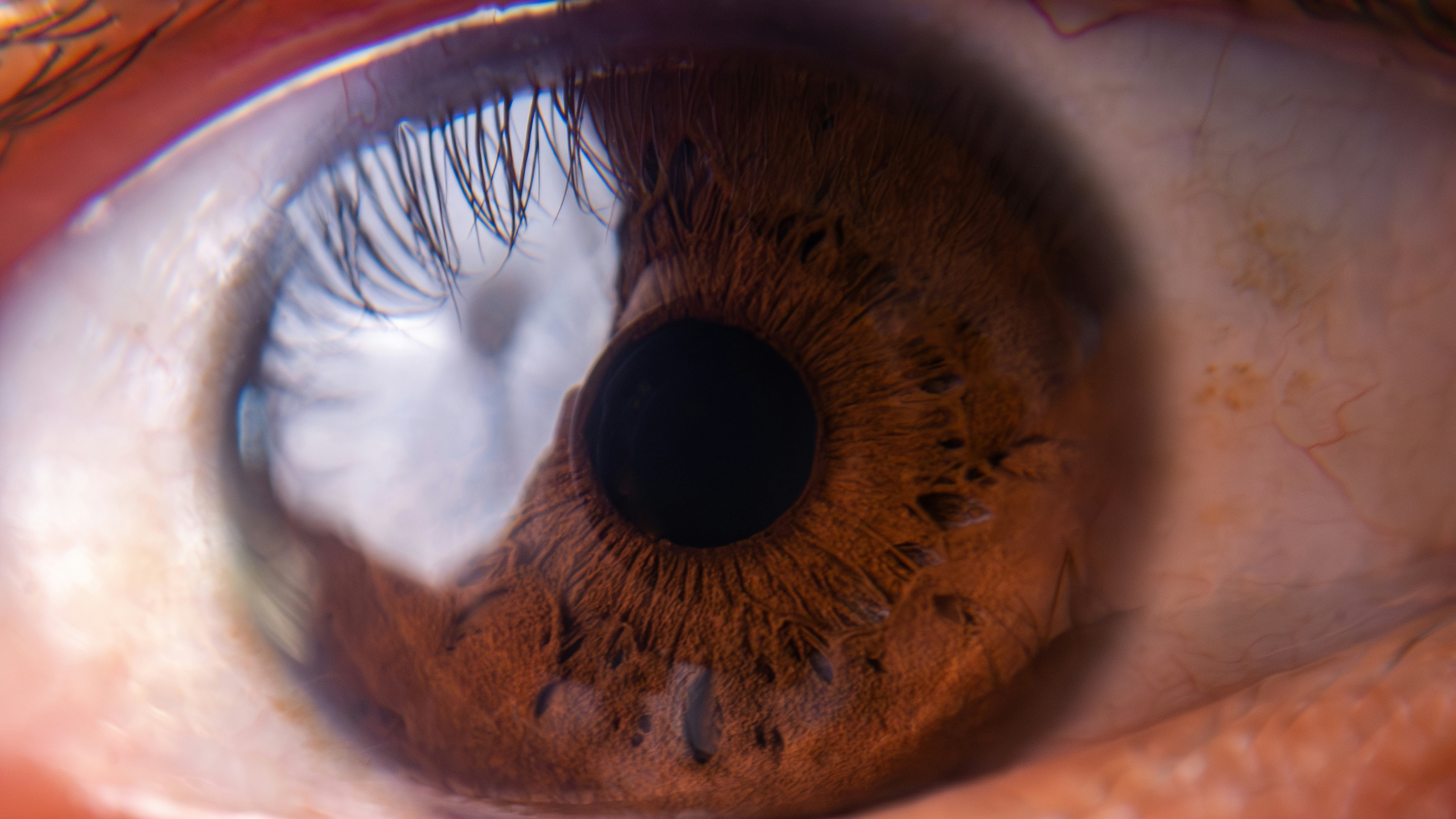 A close up view of a human eye photo – Free Macro photography. Image on ...