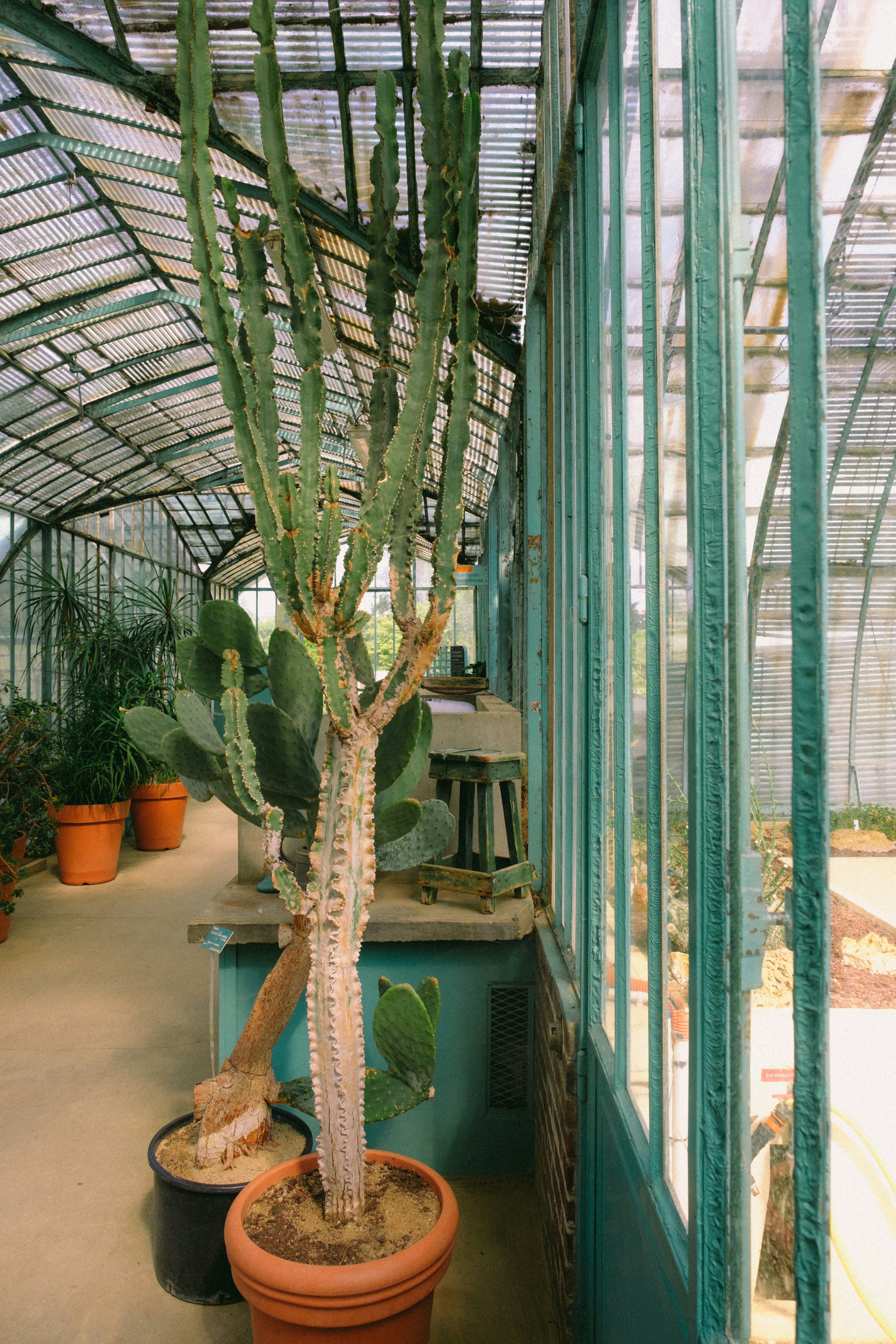 Photo by Mathias Reding with Fujifilm X-T4