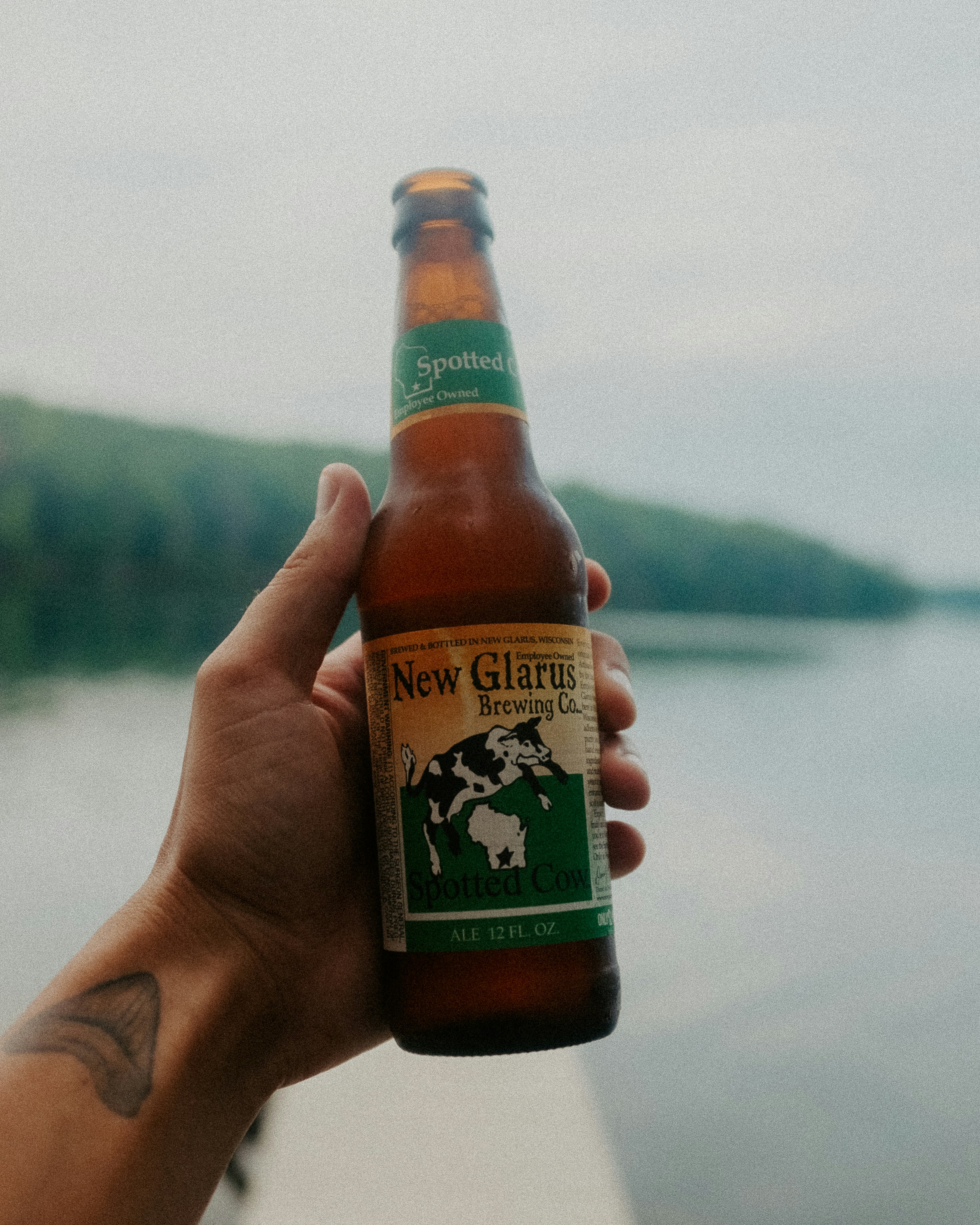 Spotted Cow at the Lake: A Hand-Held Moment with New Glarus