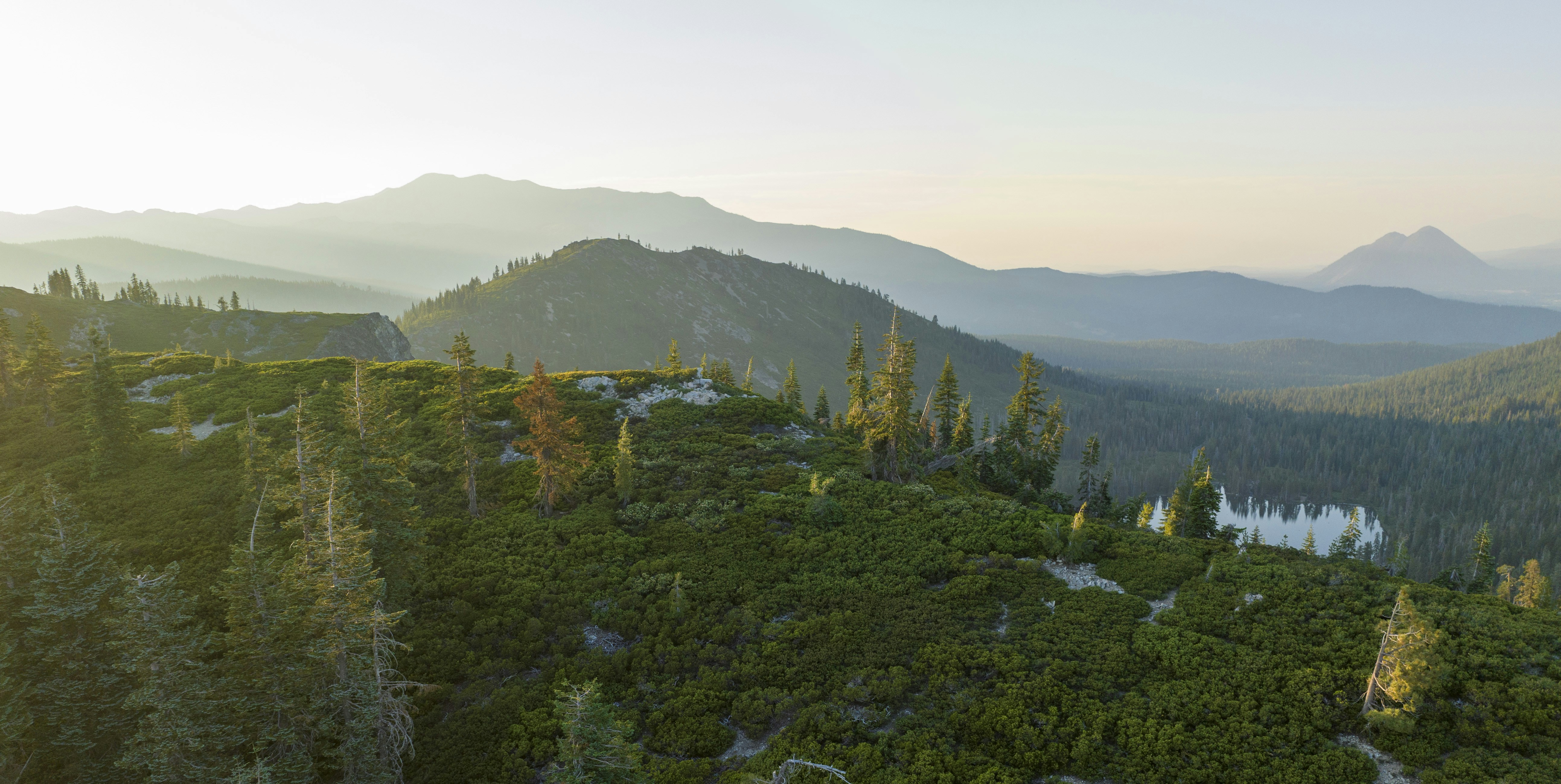 Dawn on the Pine Ridge: Mist, Pines, and a Distant Lake