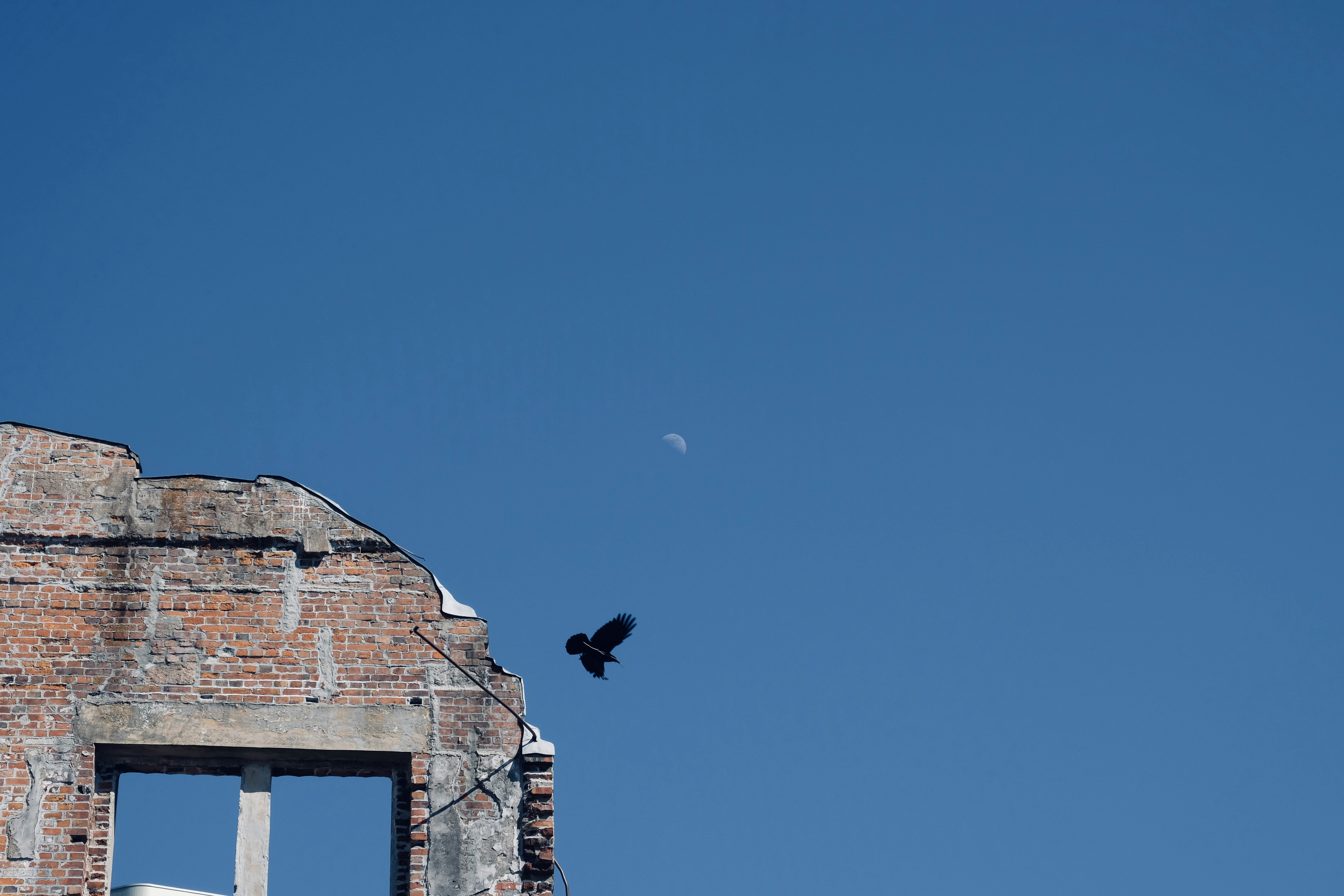 Crow in Flight Over a Weathered Brick Facade Beneath a Wide Blue Sky