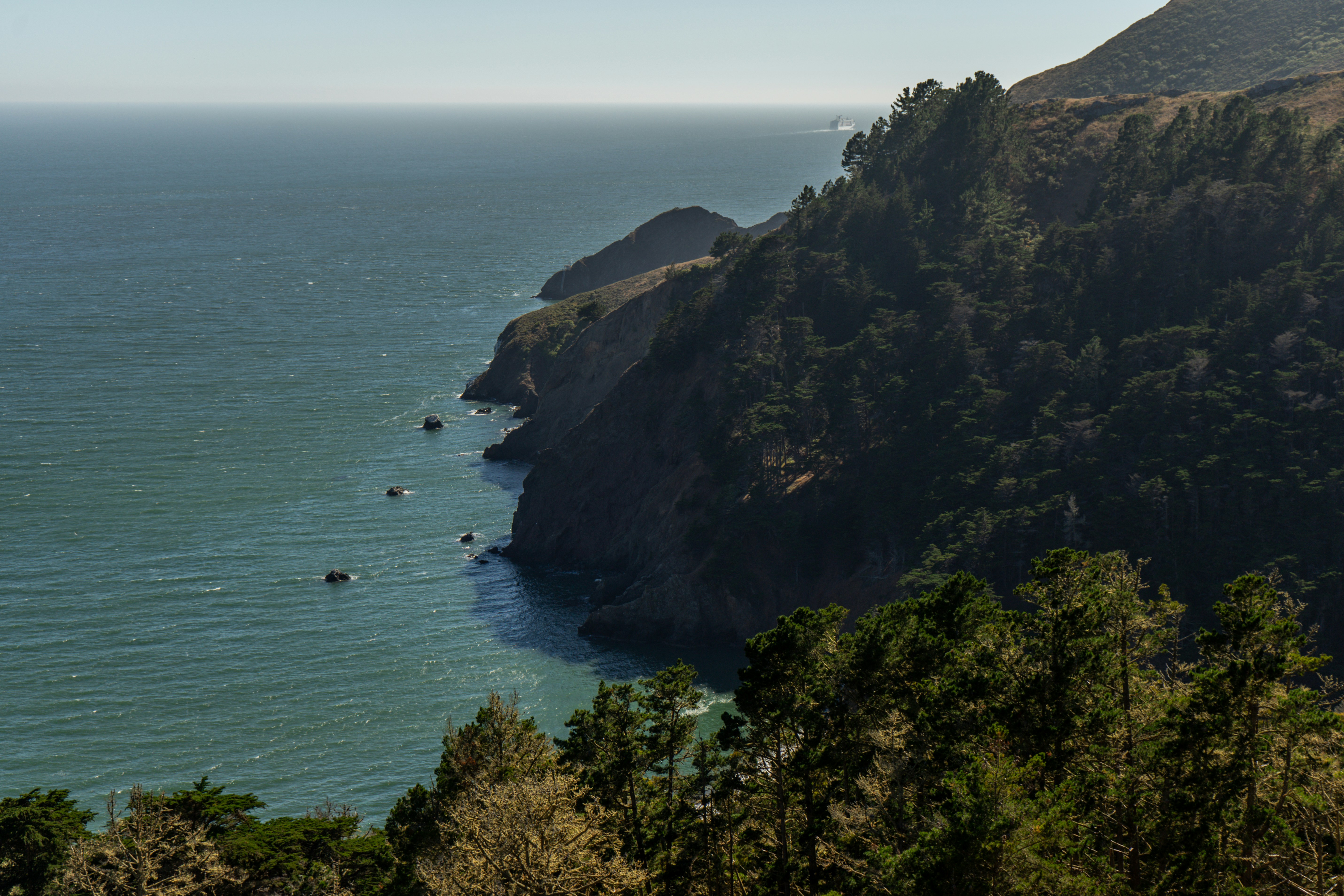 Cliffside Harmony: Pine Forest Framing a Quiet Sea