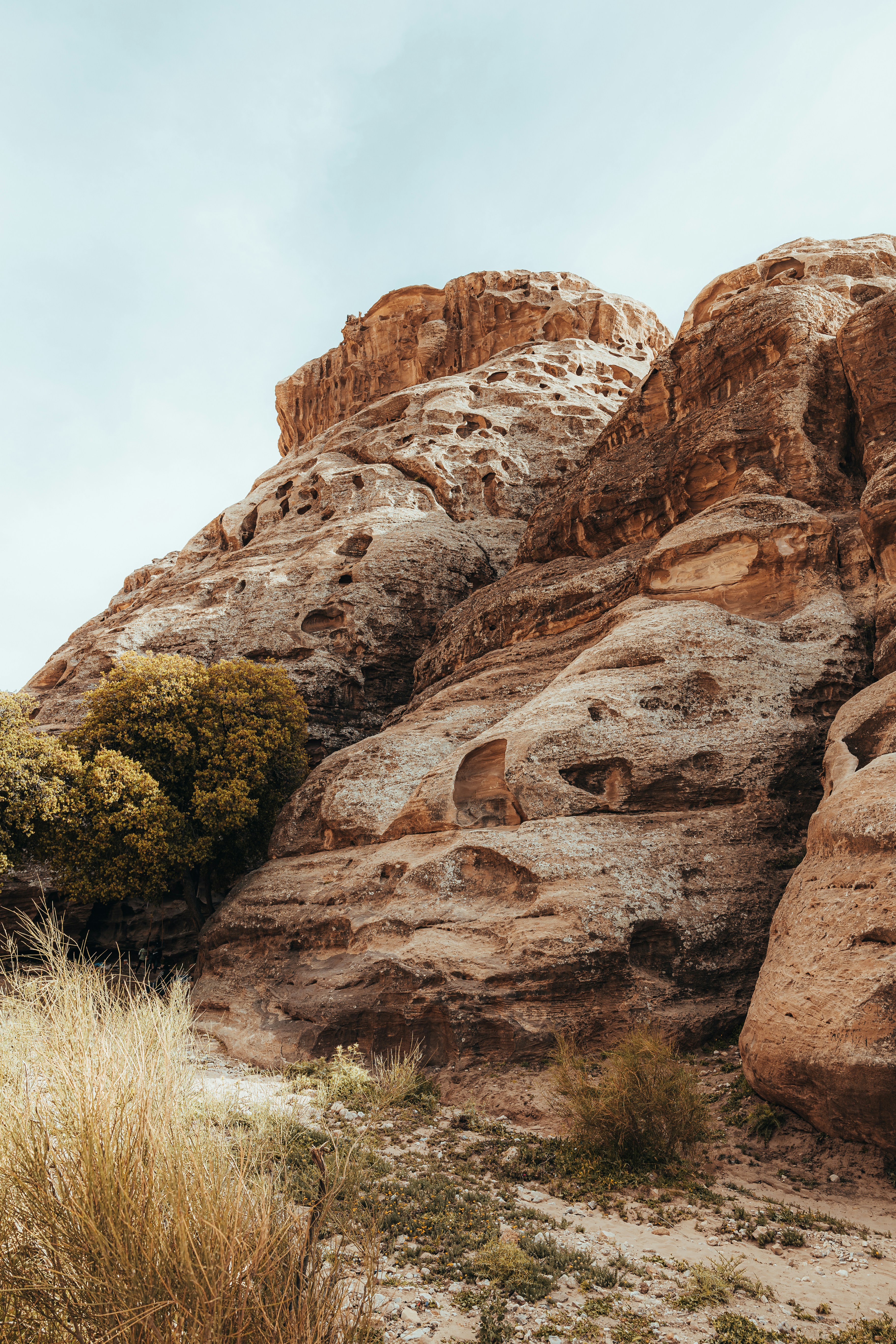 A rock formation with a bush growing out of it photo – Free Rock Image ...