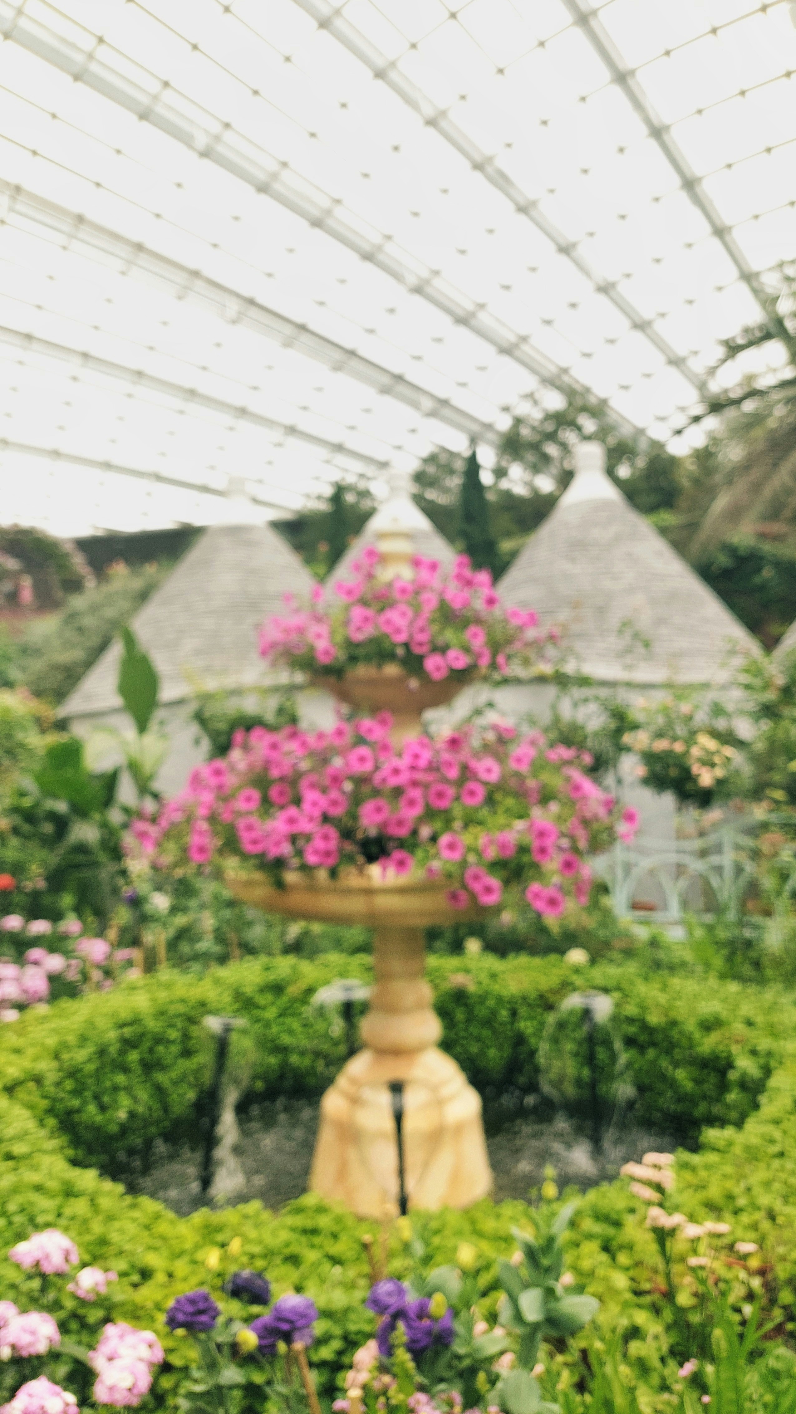 Blurry indoor glasshouse garden scene with a pedestal planter overflowing with pink flowers. Green hedges and cone-shaped structures recede in the background.