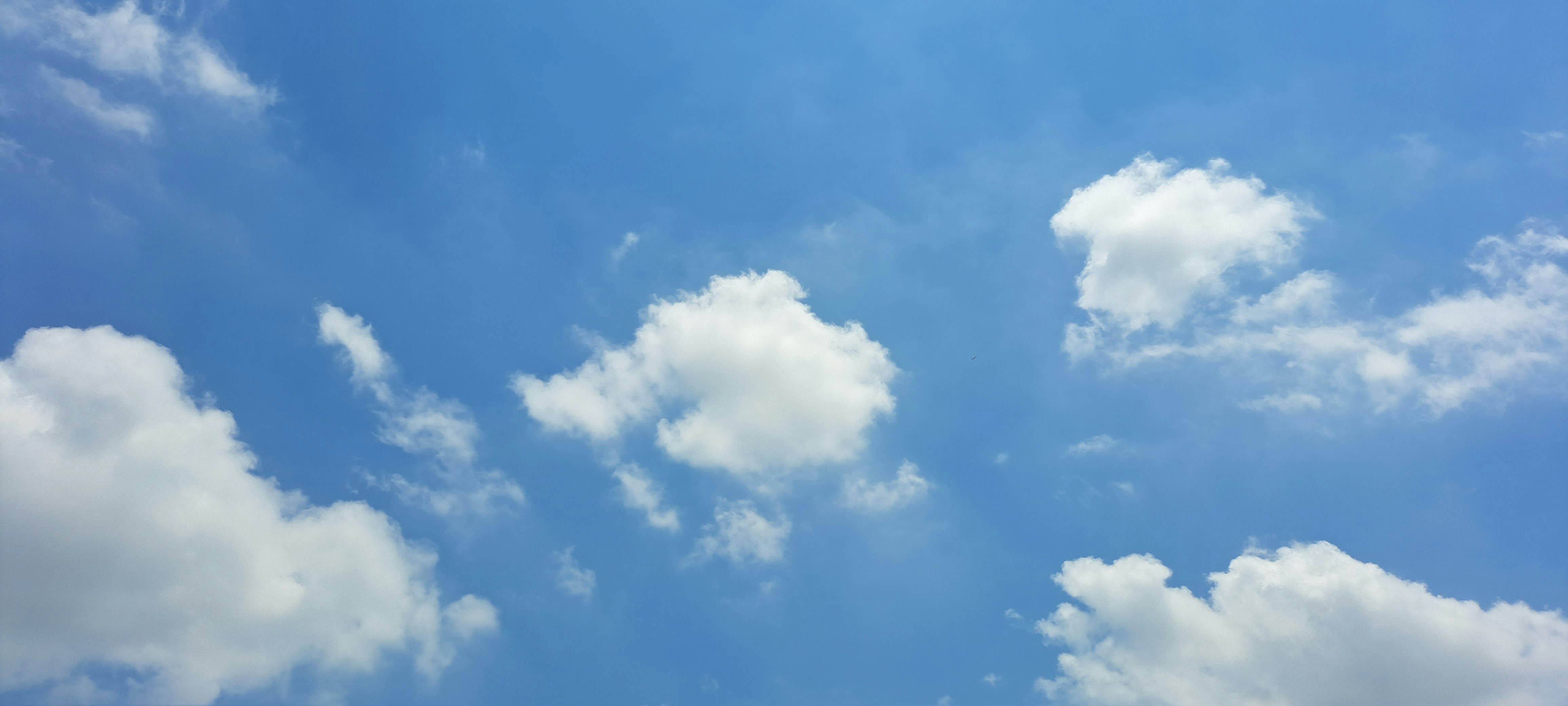 Photo by Mubin Ferdous with Samsung Galaxy A53