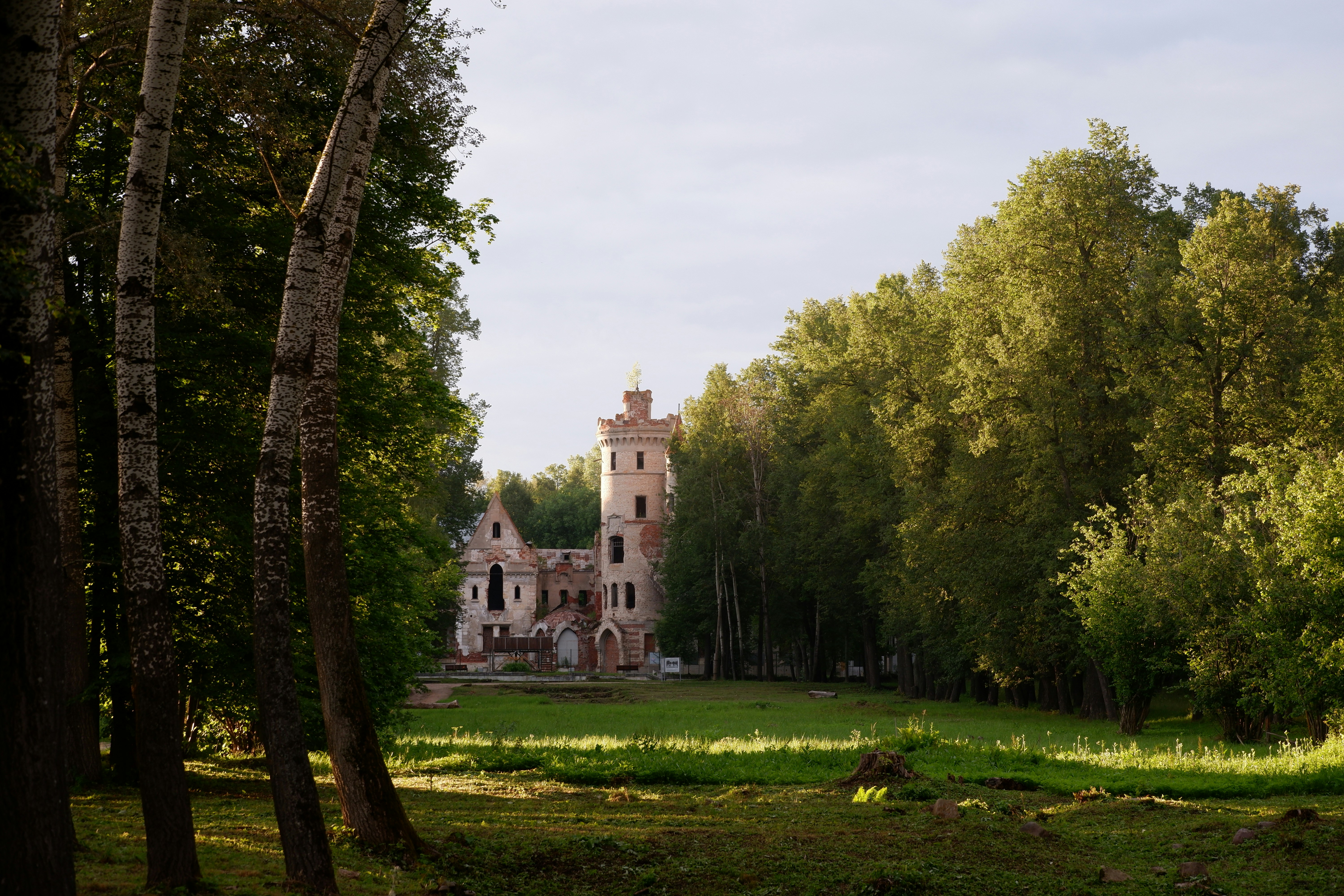 Tower Ruins in a Sunlit Clearing, Framed by Pines
