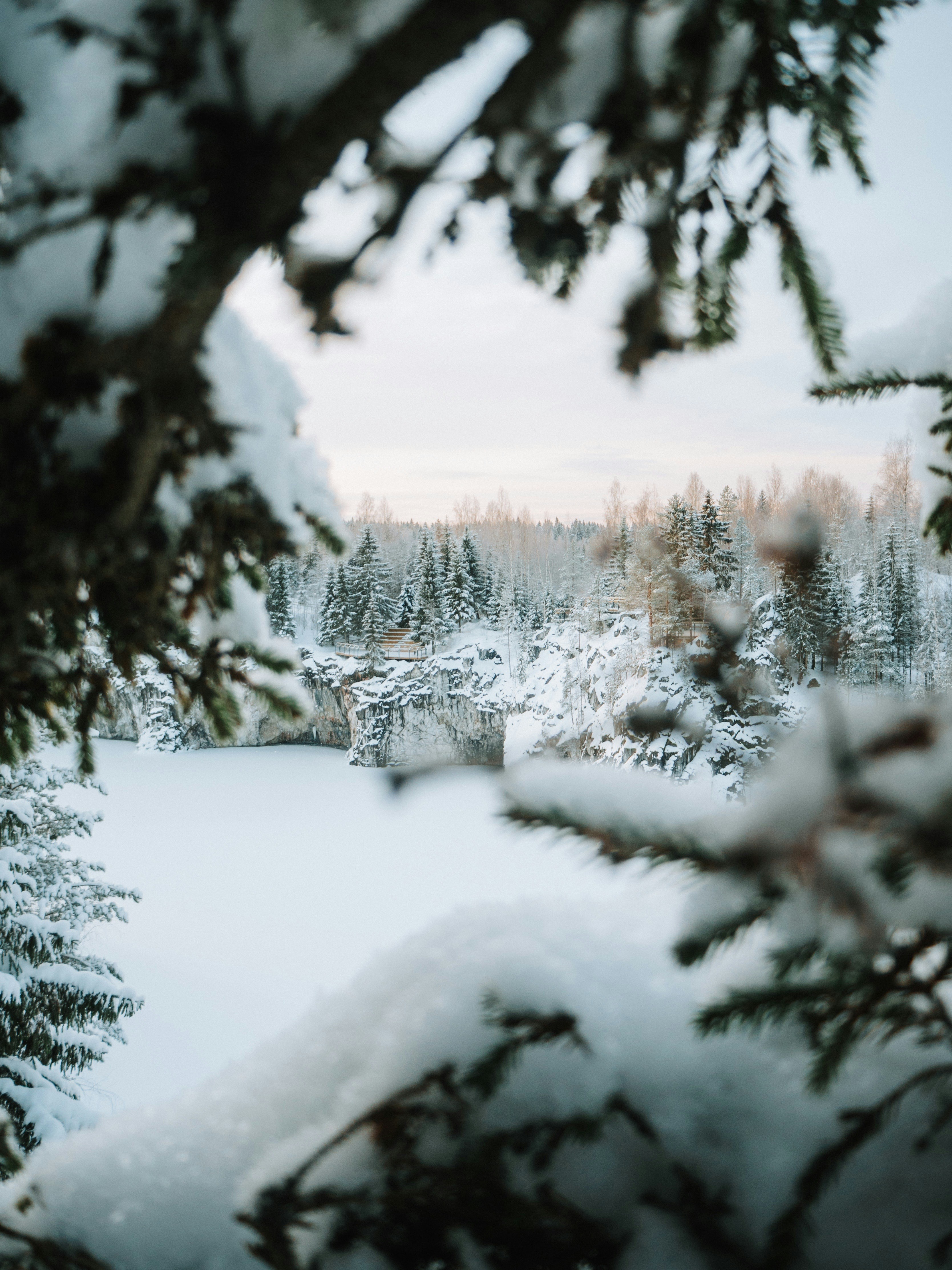 A view of a snow covered forest from a distance photo – Free Sunset ...
