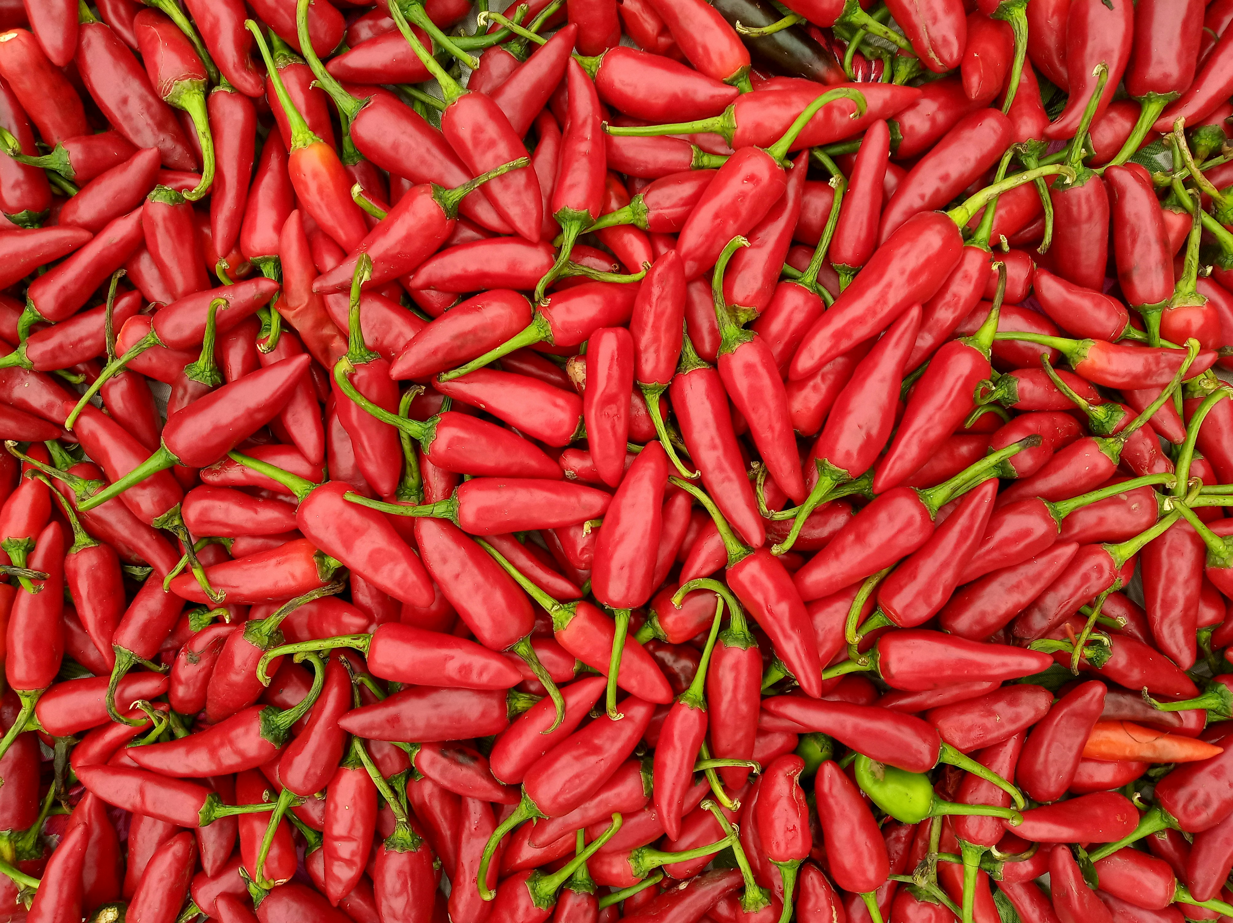 30k+ Red Chilli Pictures | Download Free Images on Unsplash