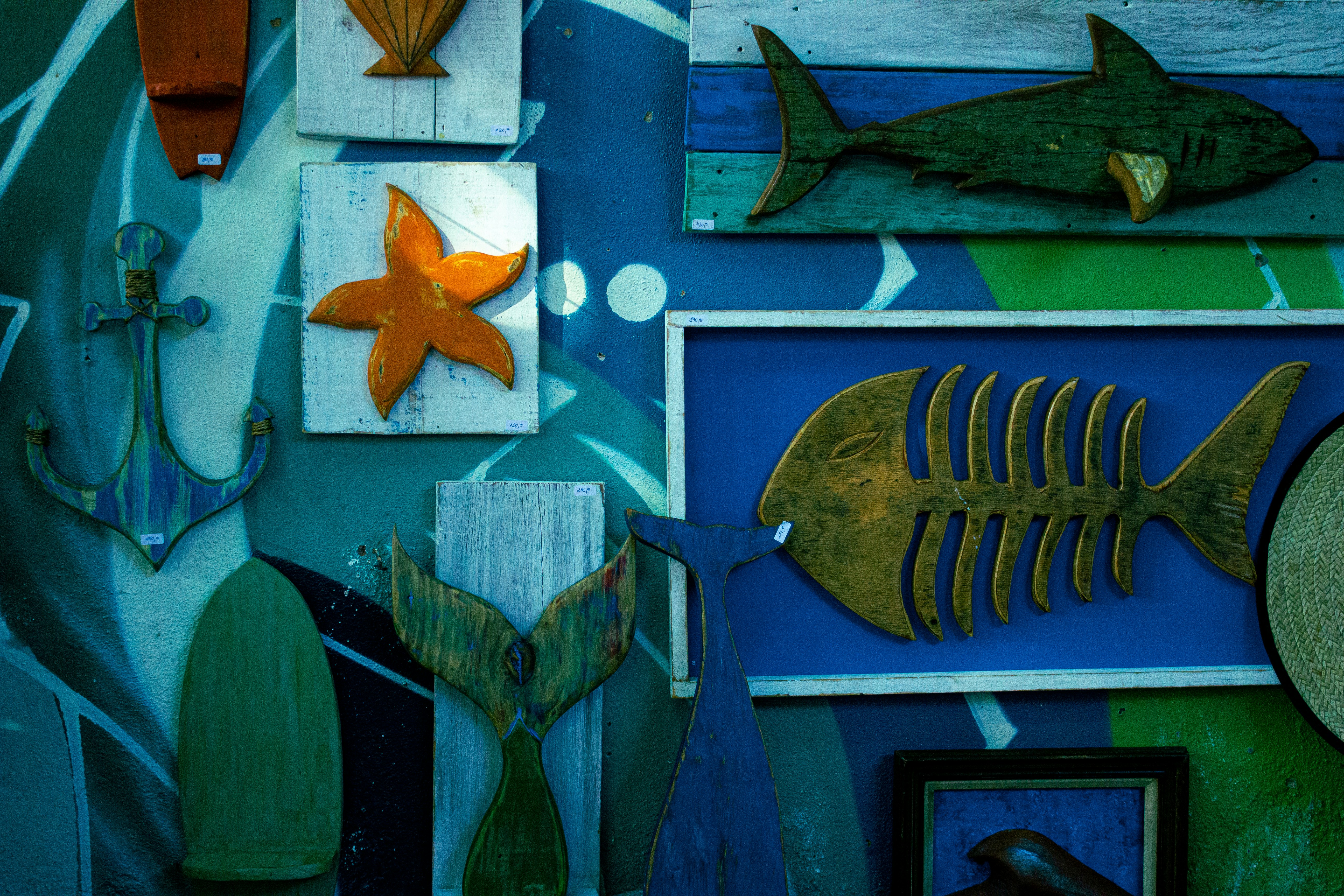 Fish Ocean Scene Wallpapers Pictures | Download Free Images on Unsplash