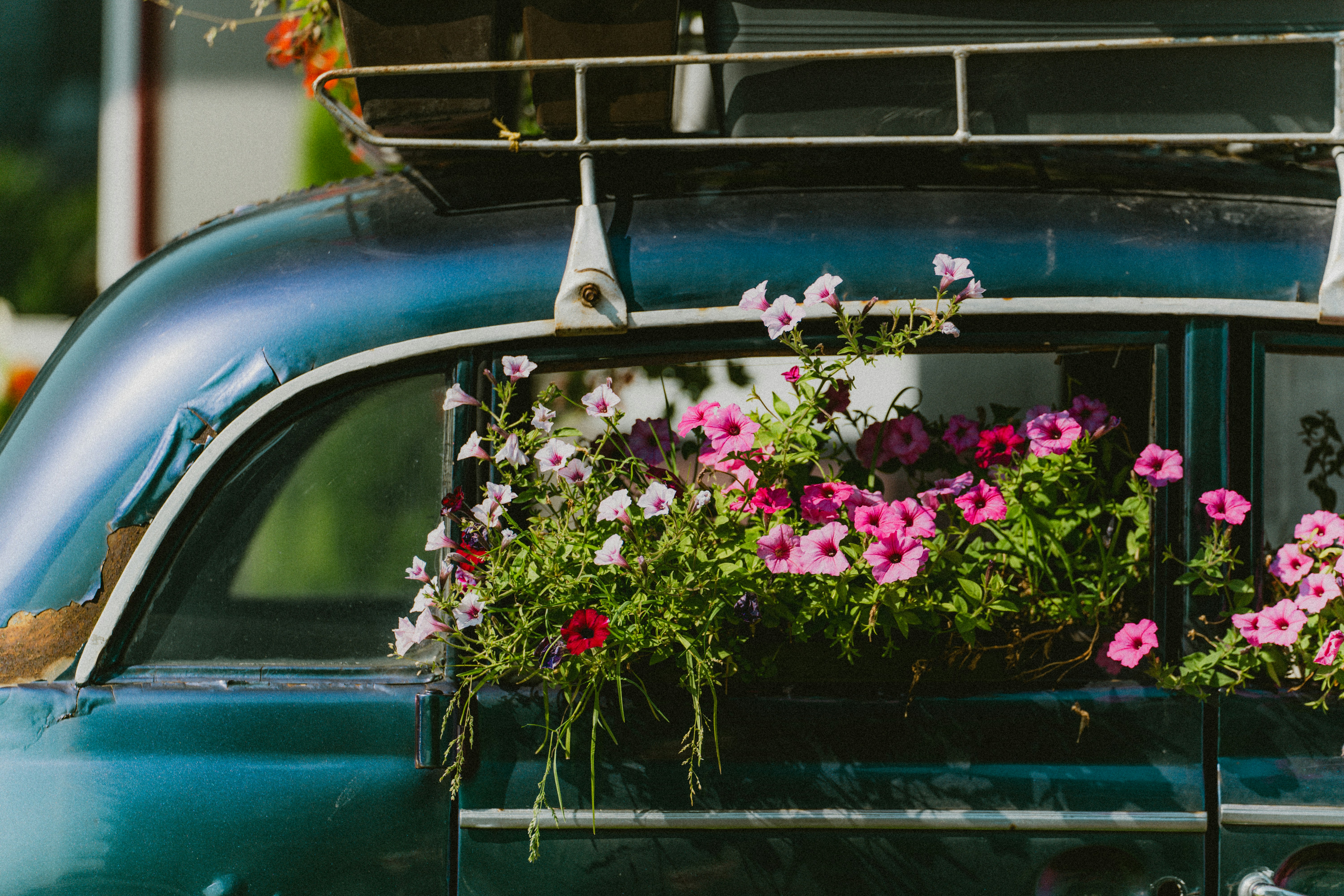Petaled Window Box on a Weathered Vintage Cruiser