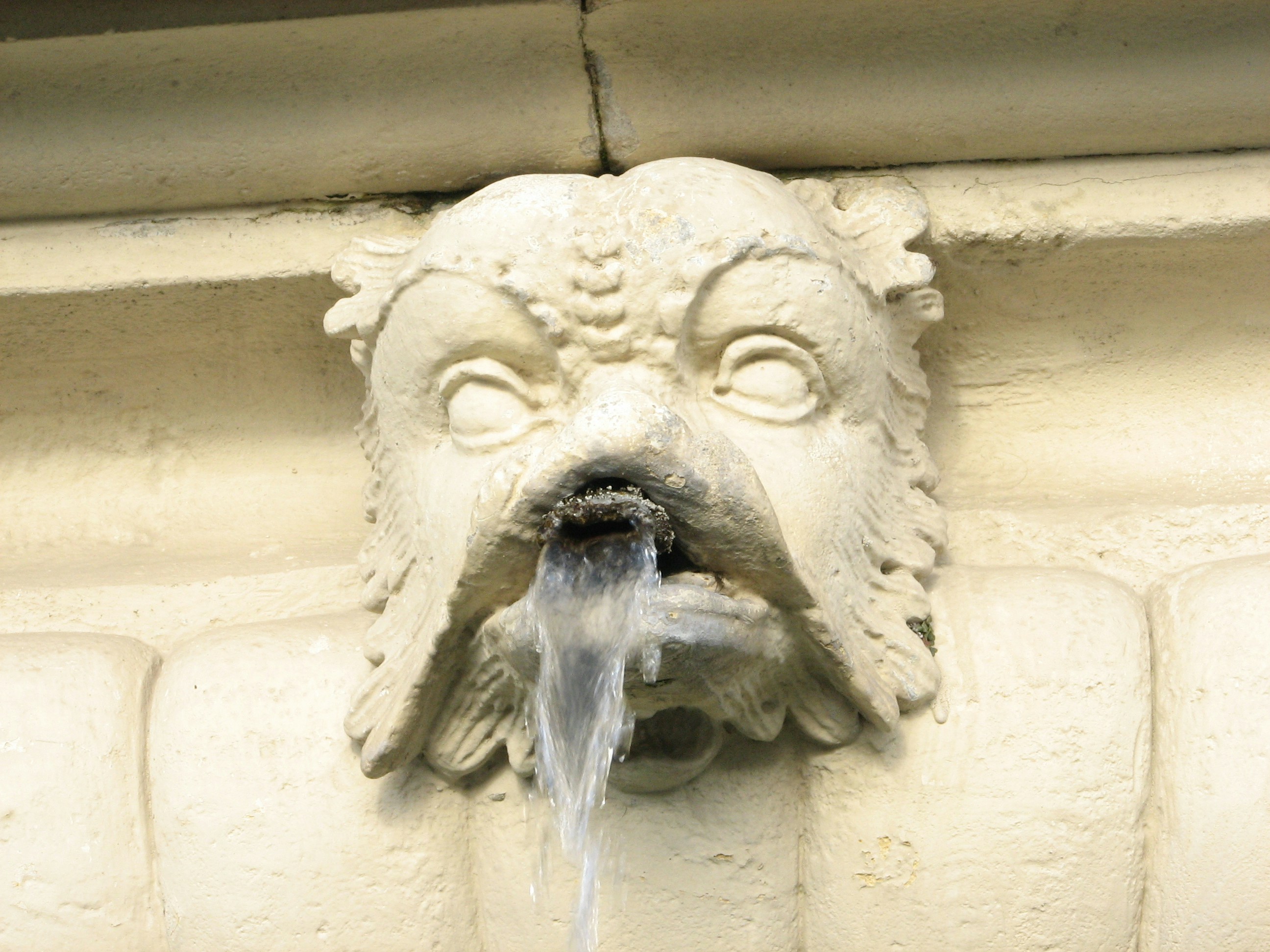 A weathered stone gargoyle head serves as a fountain. Water streams from its mouth against a pale architectural wall.