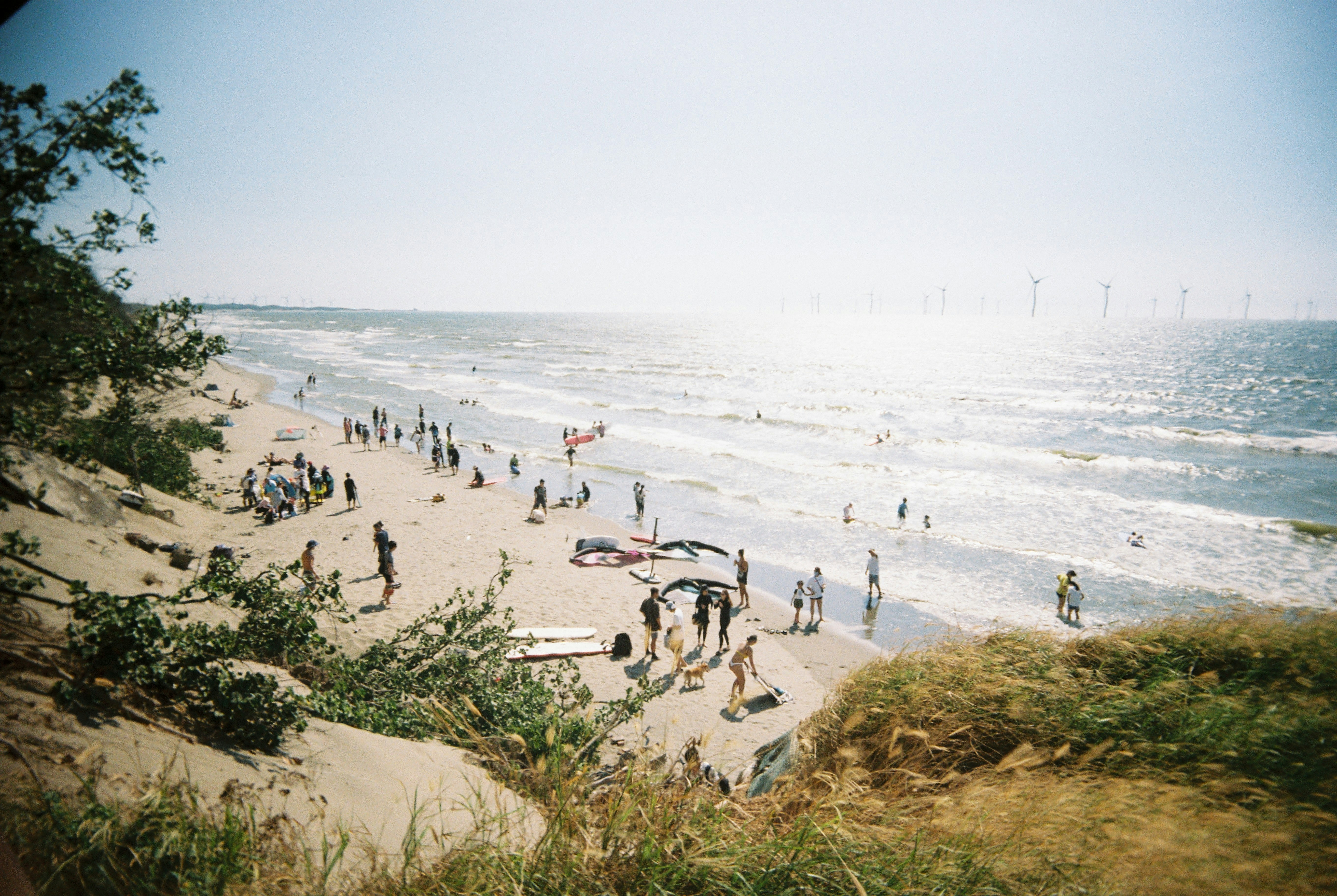 People enjoying a sunny day at a sandy beach with waves gently crashing and greenery along the shoreline.