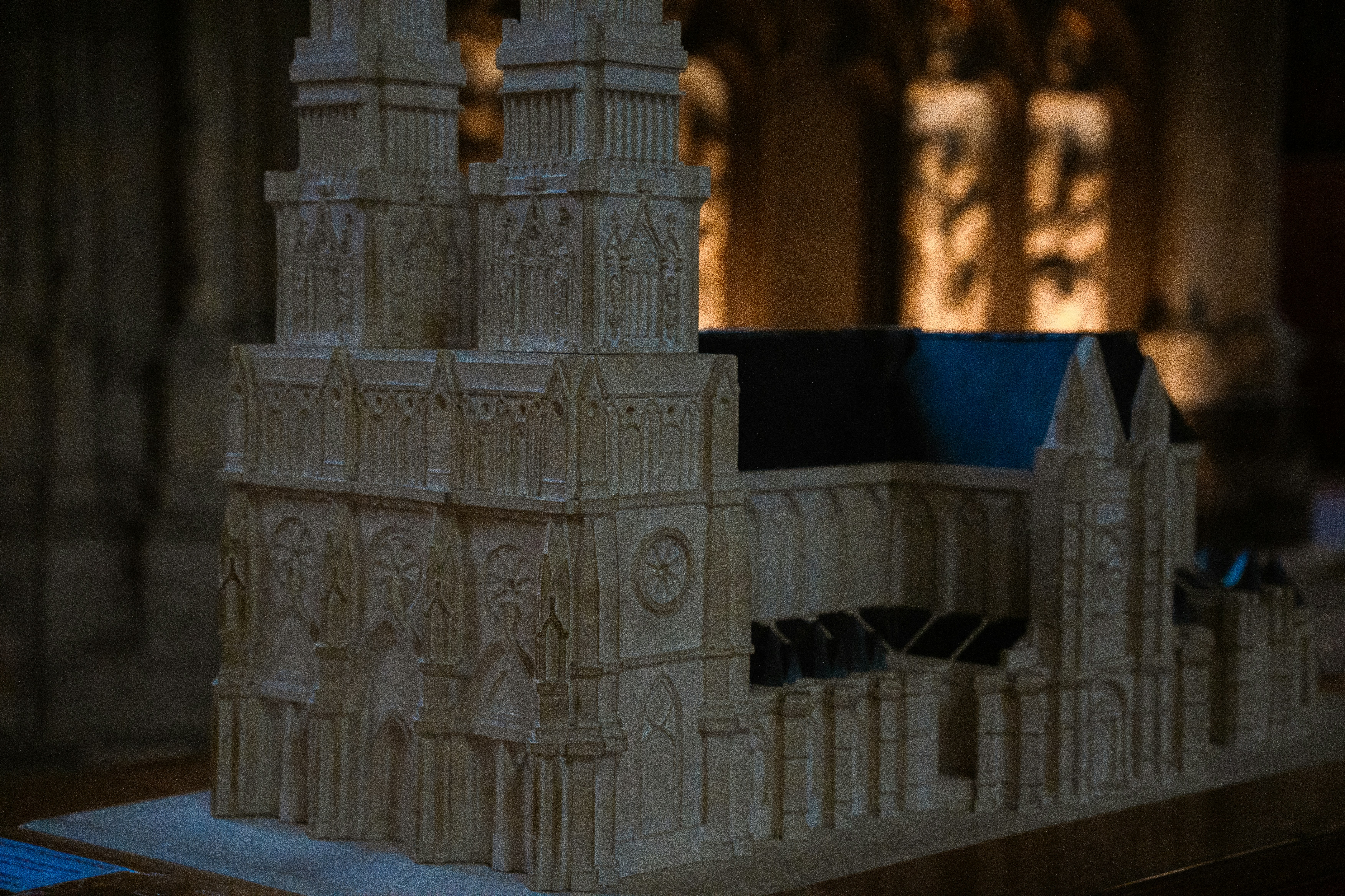 Photo by Harper Swan with Sony Alpha 7 IV