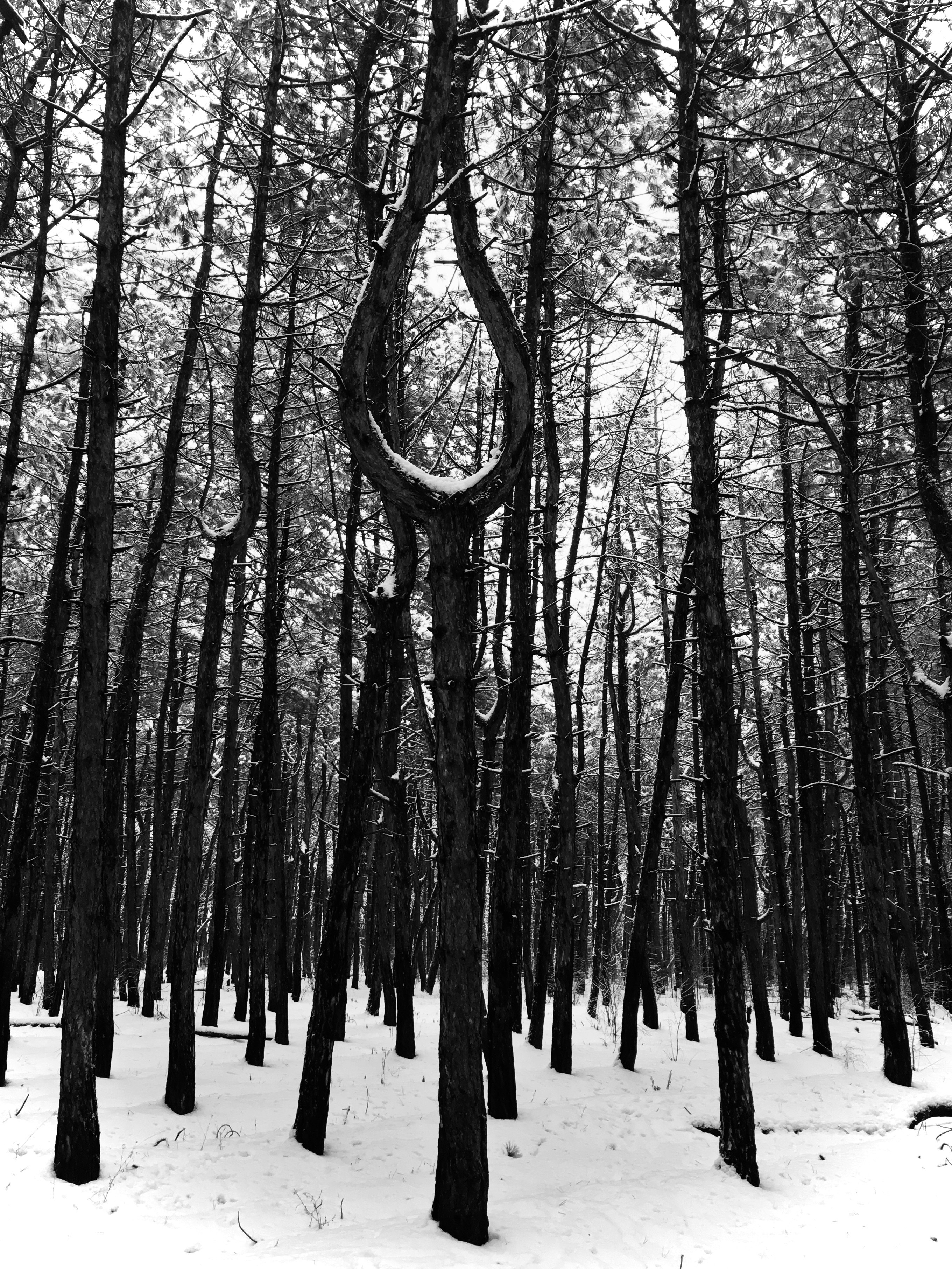 Photo by Alex Lesik with Apple iPhone 6s