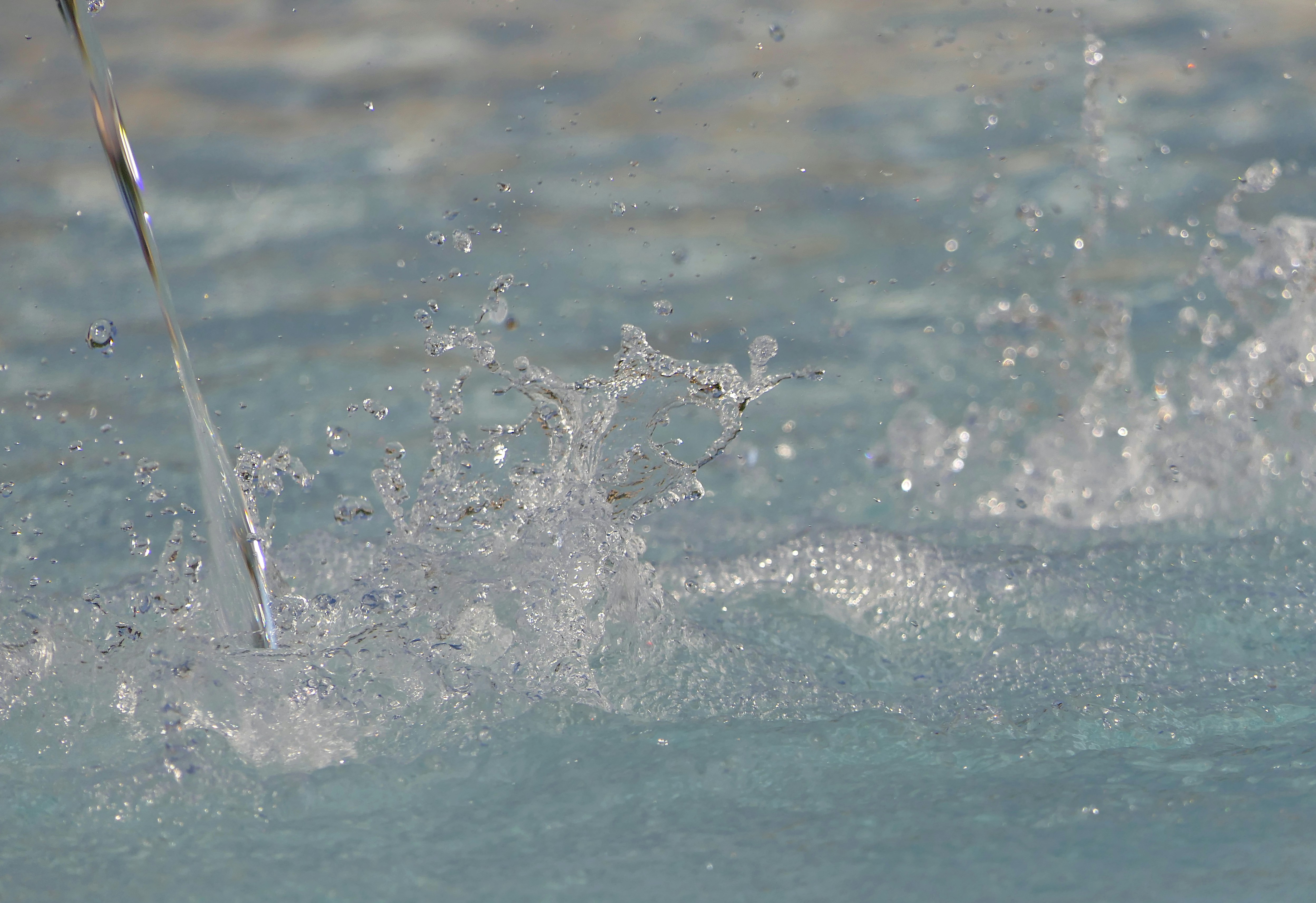 A close up of a water spout in the water photo – Free Water Image on ...