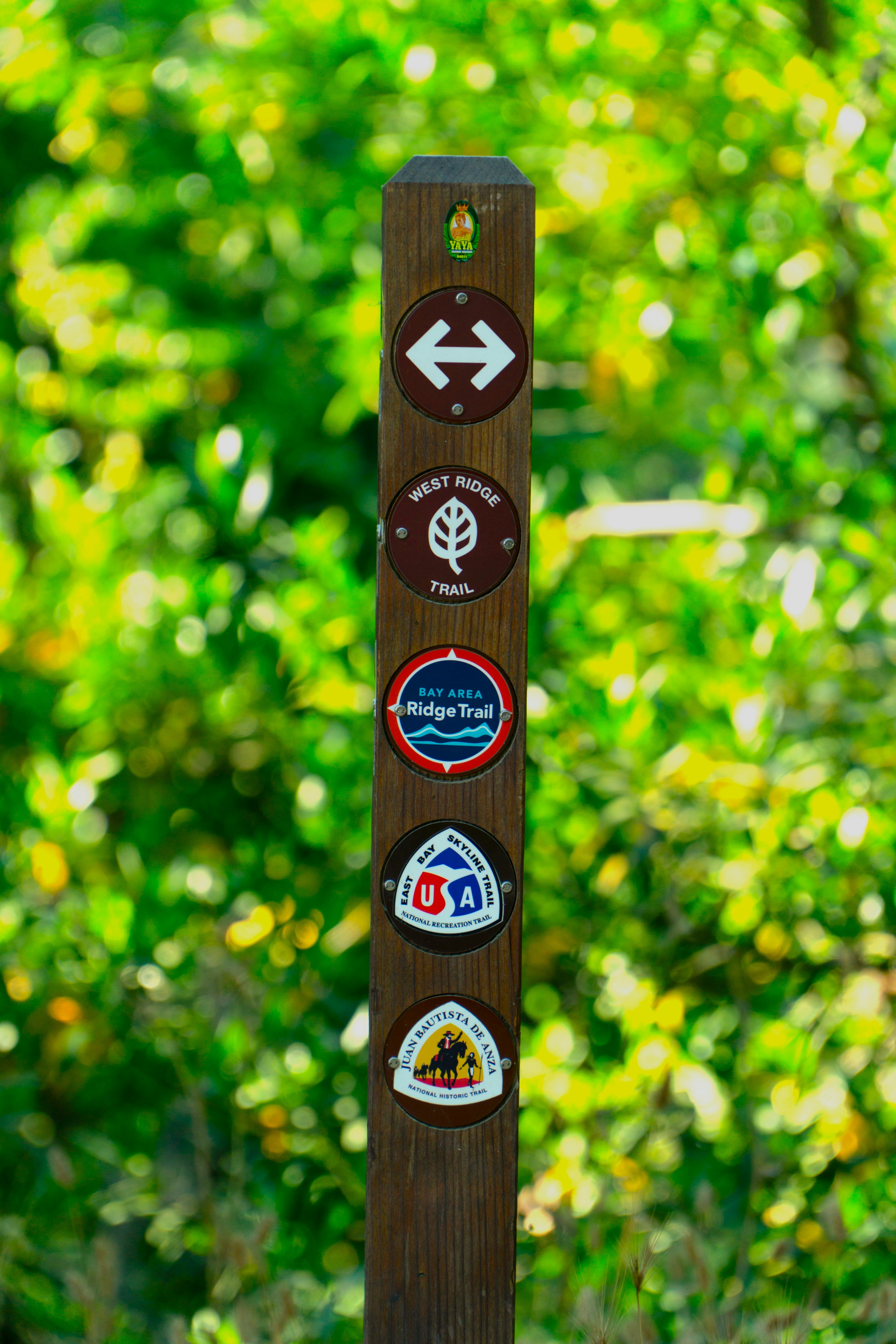 Trail Post Gallery: A Vertical Stack of Wayfinding Badges in Sunlit Green