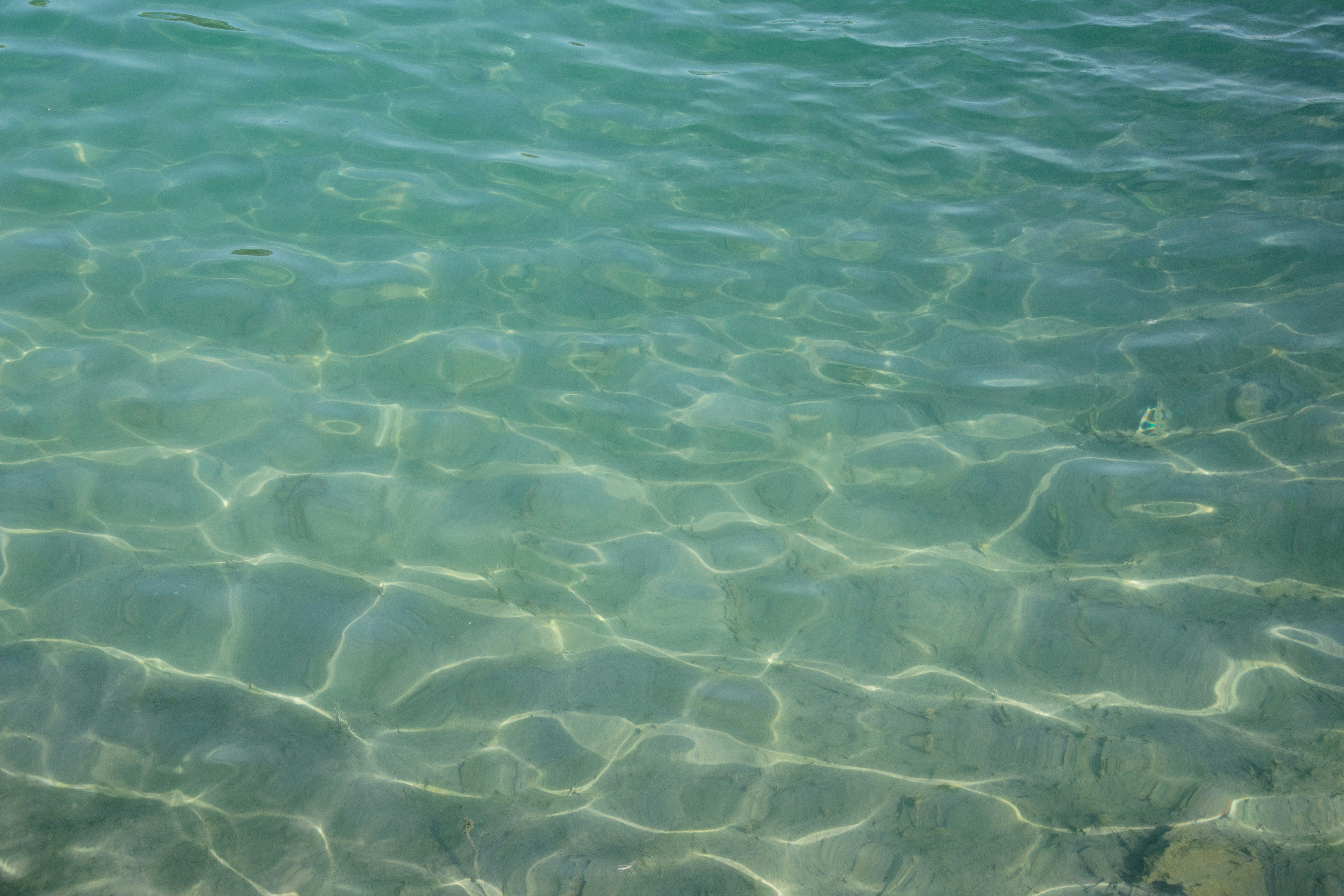 Lakefill at Northwestern | Instagram: @sairaphotography https://www.instagram.com/p/CvBAKMcyBQw