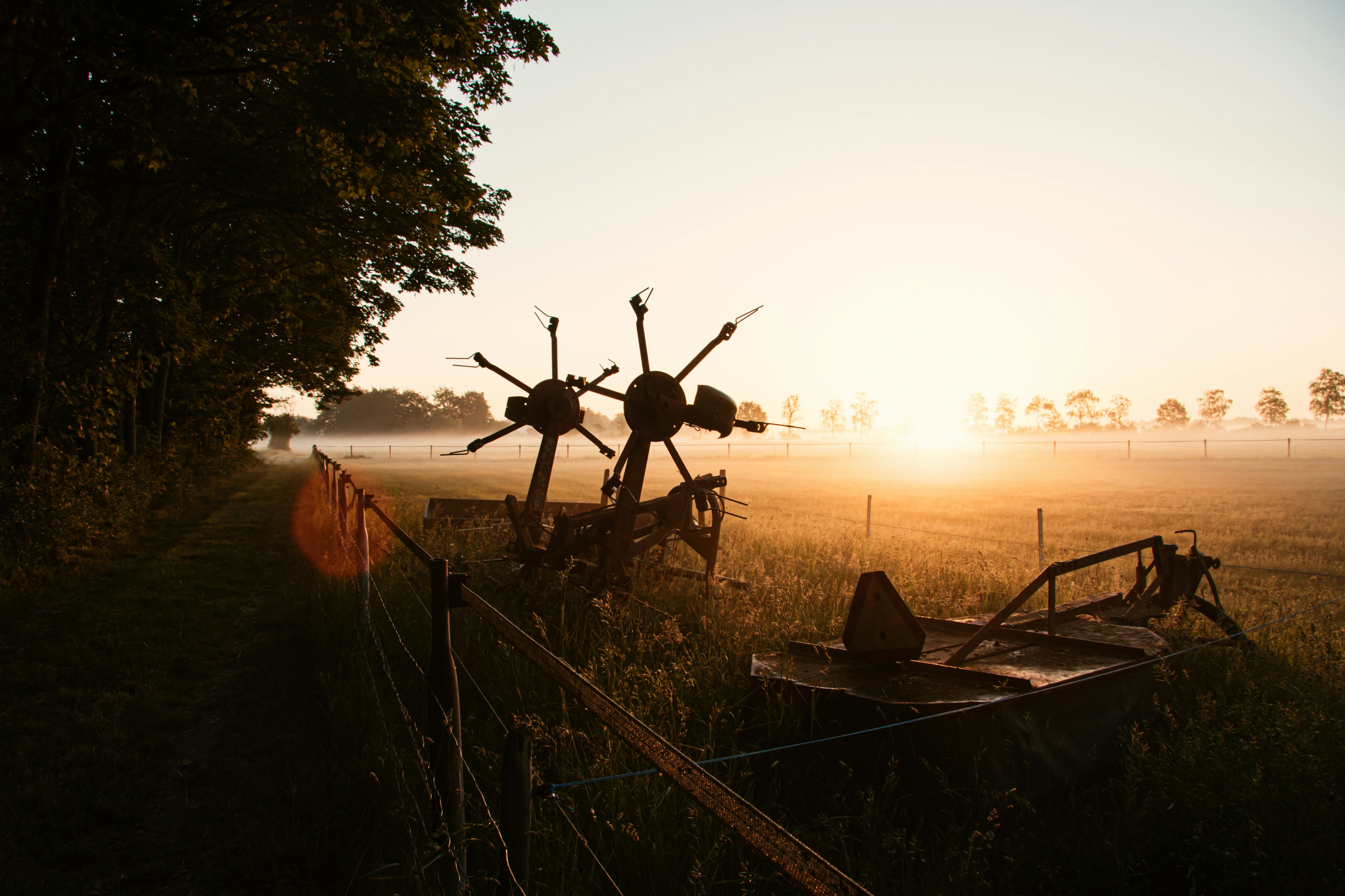 Sunrise Over Silenced Reels