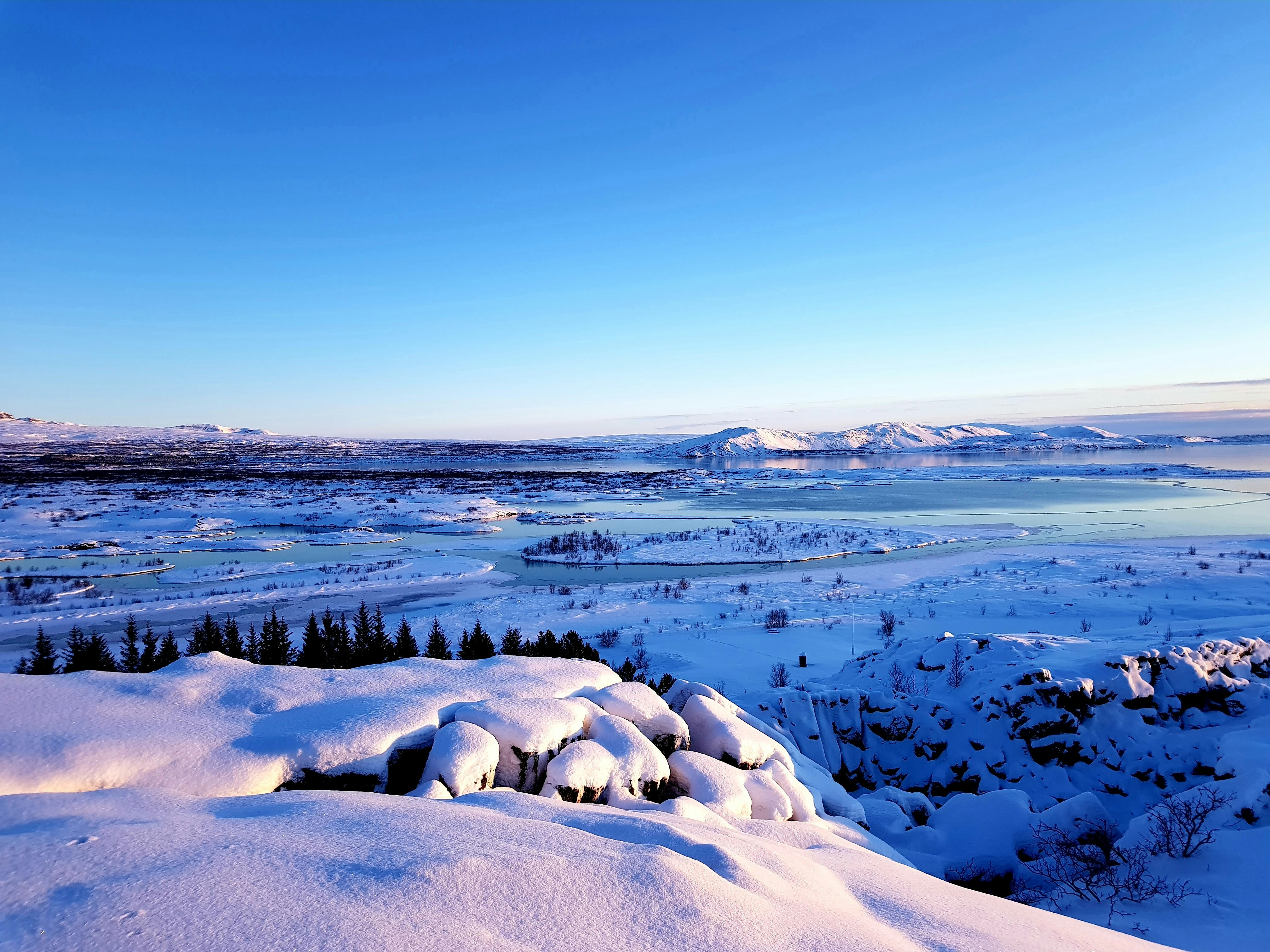 Winter's Embrace: A Frozen Tapestry