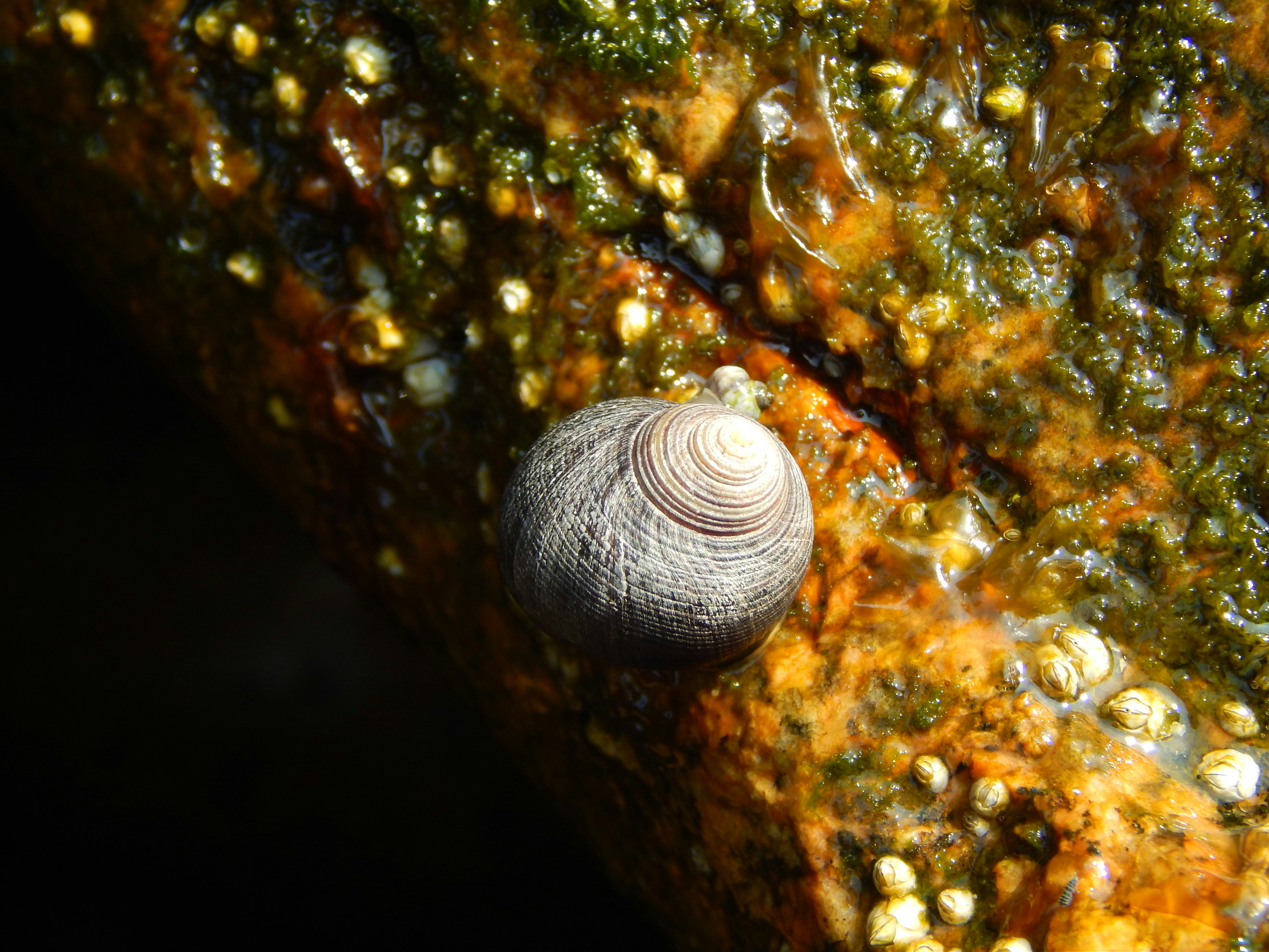 Cracas Nas Rochas Fotos | Baixe imagens gratuitas na Unsplash