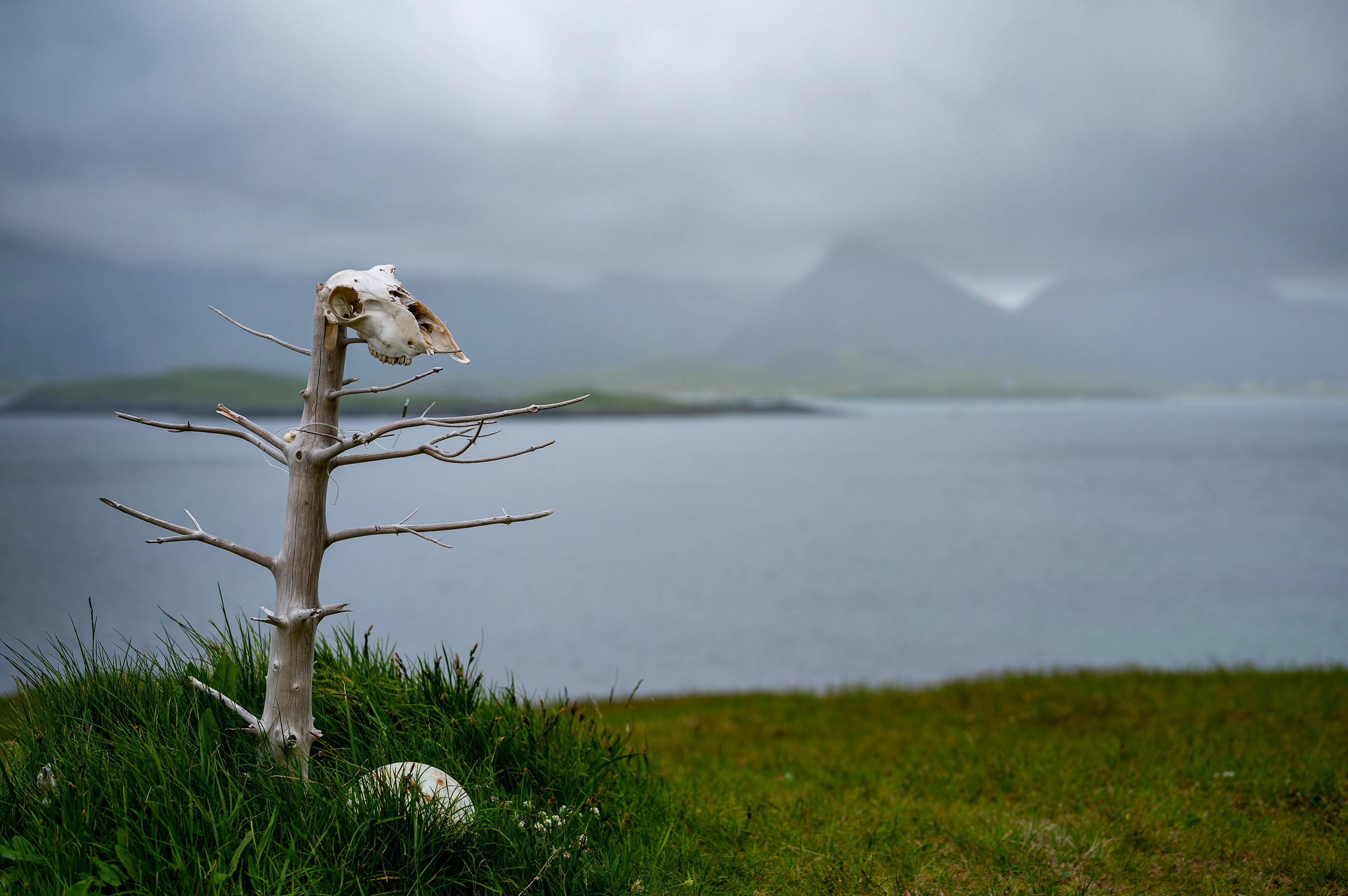 Skull-Top Sentinel by a Misty Lake