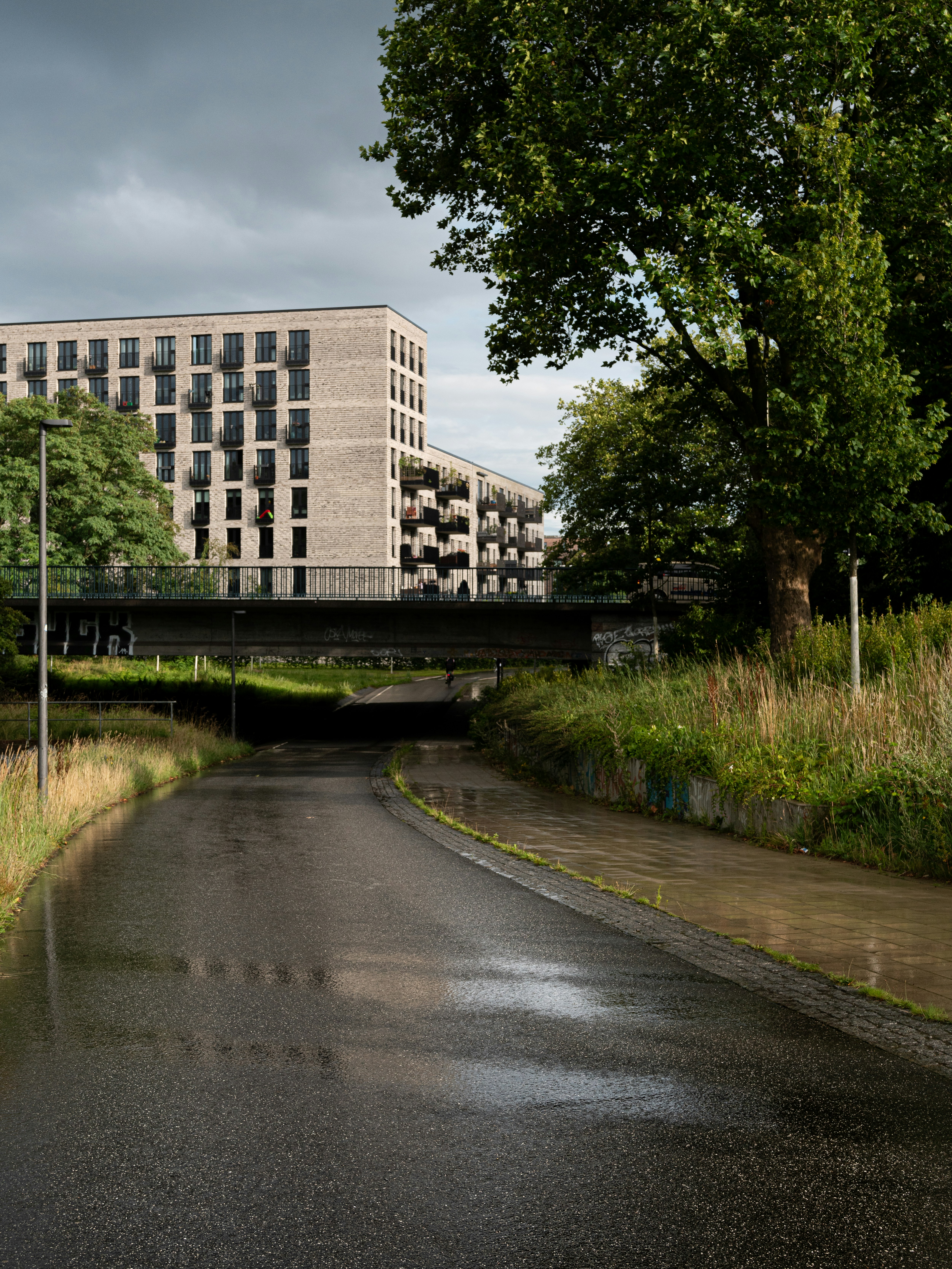 Photo by Lukas S with Sony Alpha 7R III