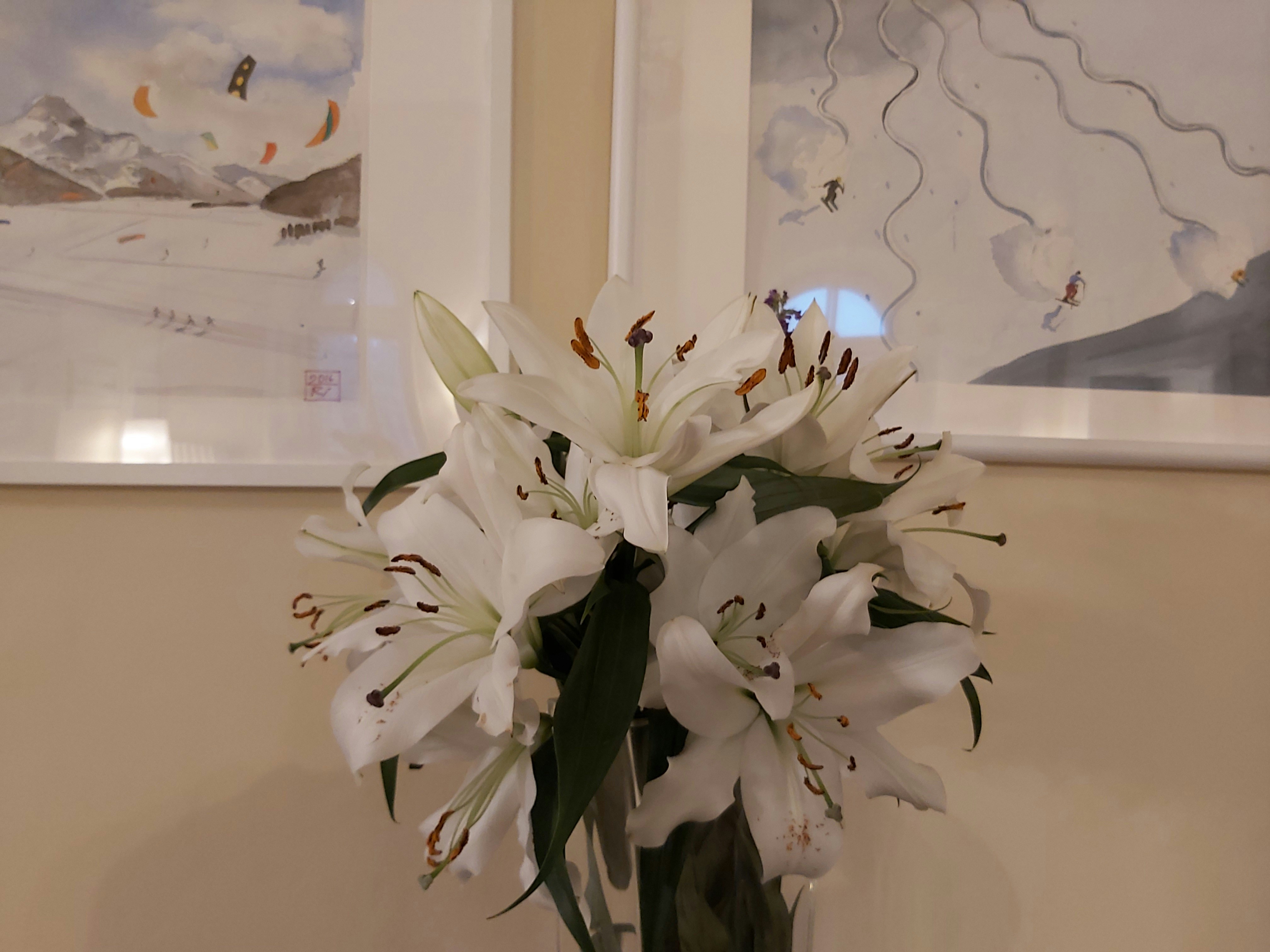 Daniela Dolci (@danielafoto) | Unsplash Photo Community