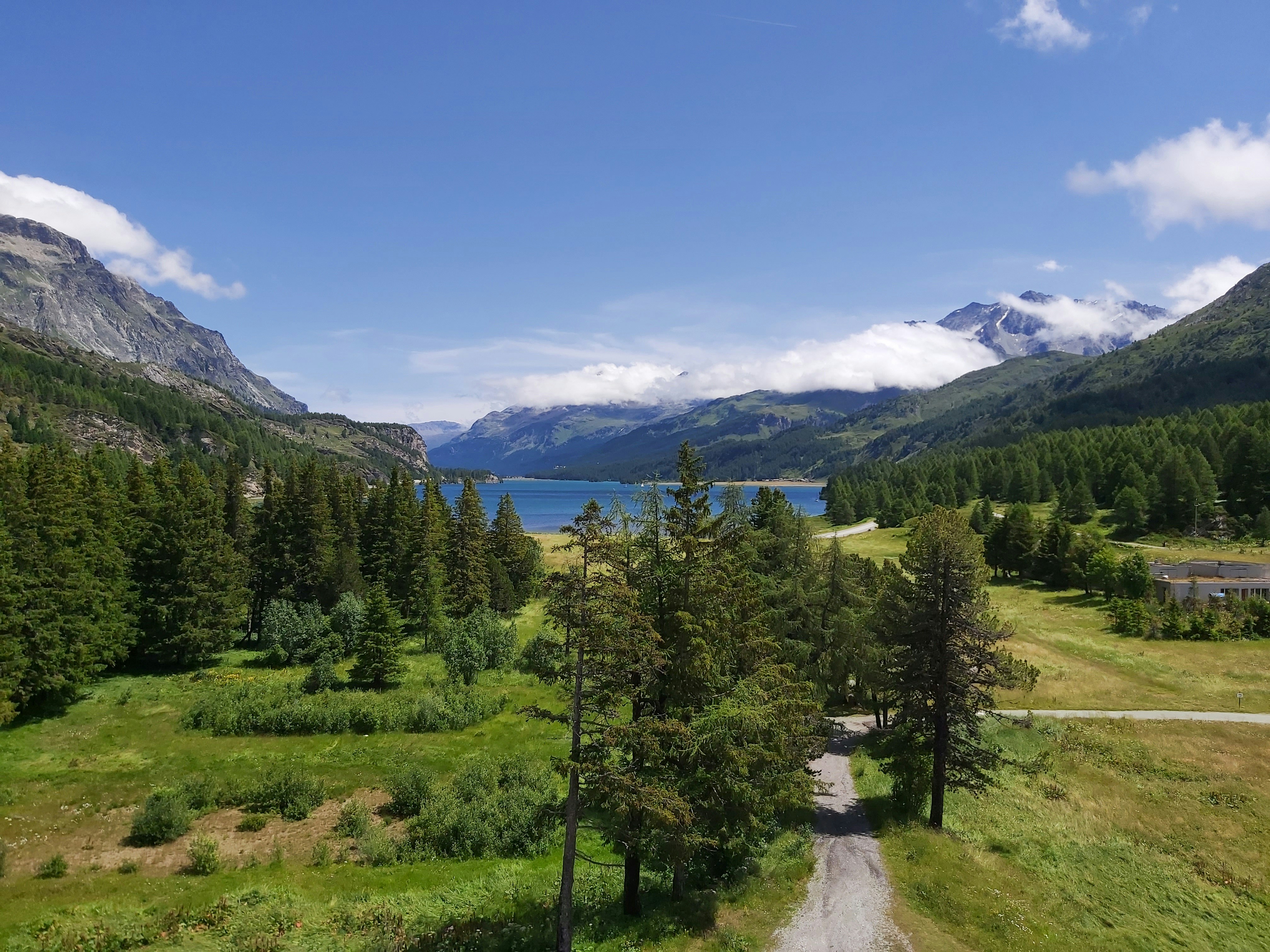 Daniela Dolci (@danielafoto) | Unsplash Photo Community