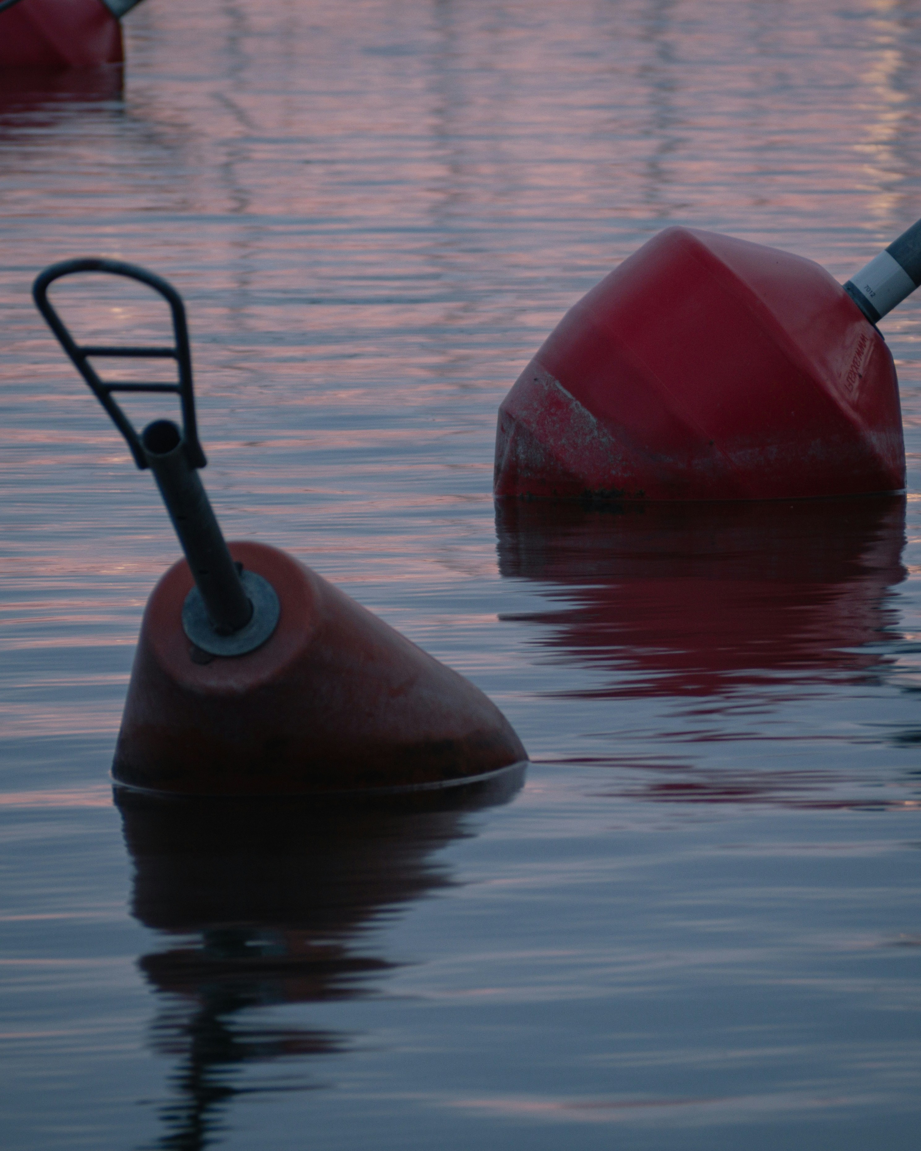 A couple of red buoys floating on top of a body of water photo – Free ...