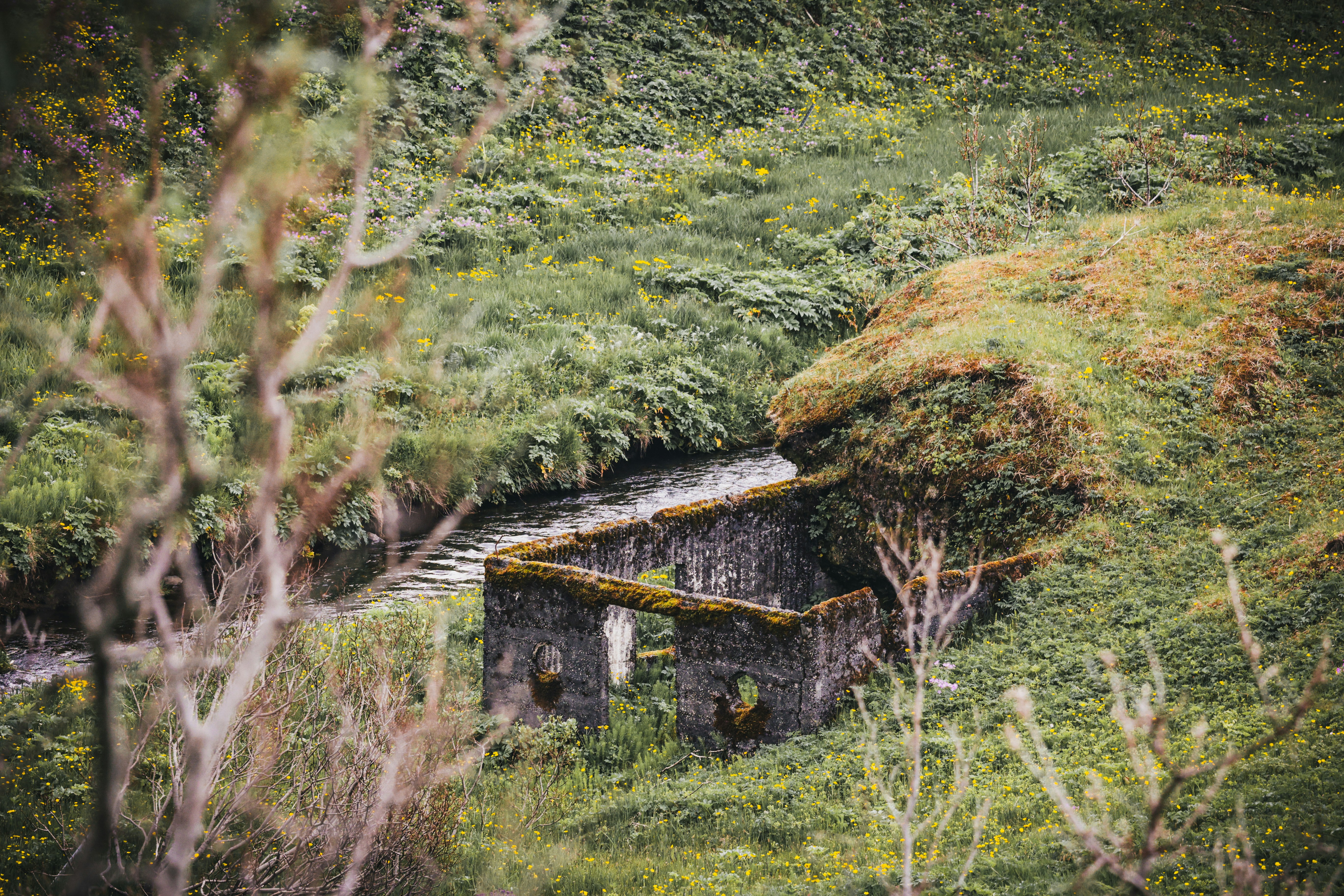 Moss-Clad Dam Hidden in a Verdant Veil