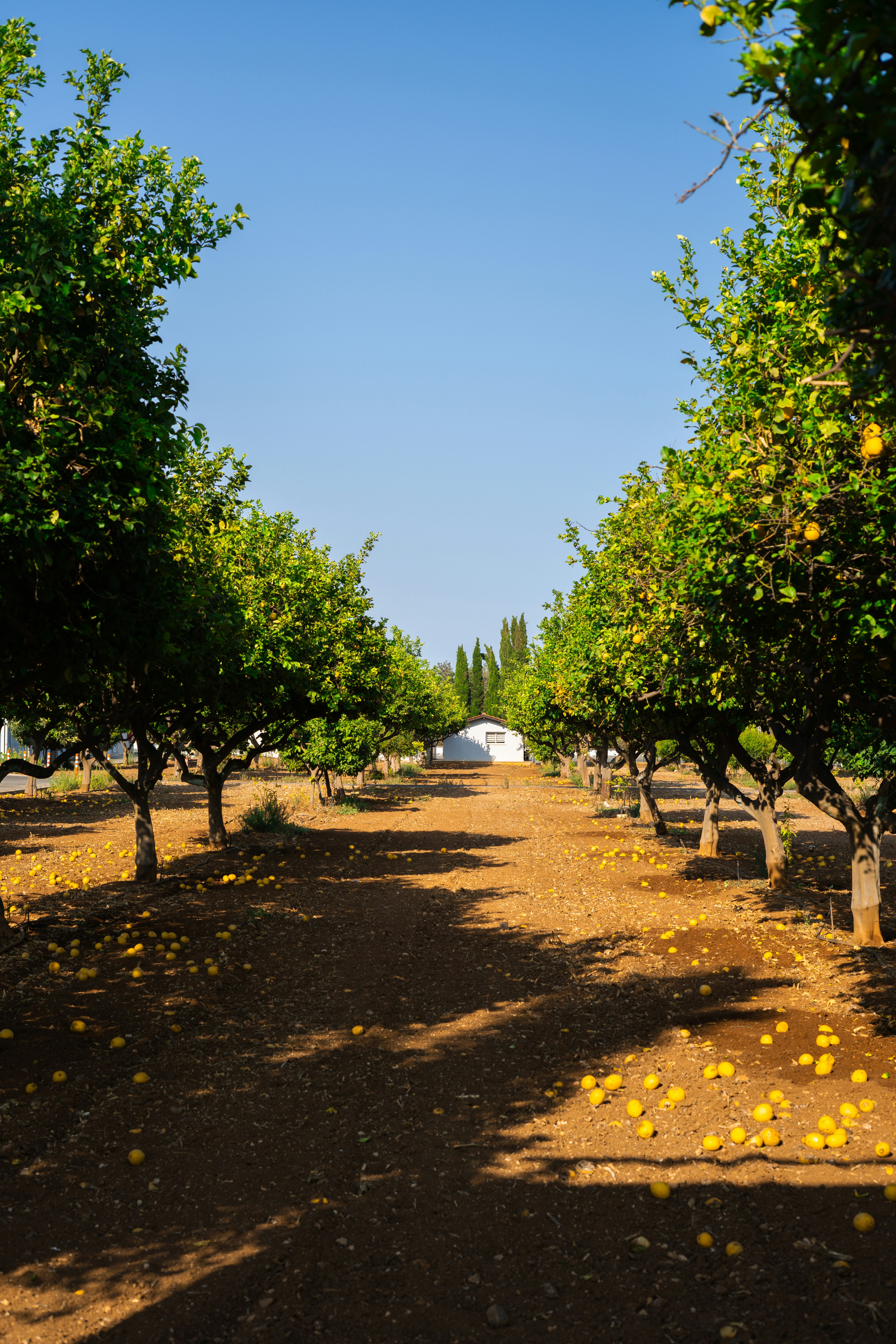 Photo by Katy with Sony Alpha 7 III