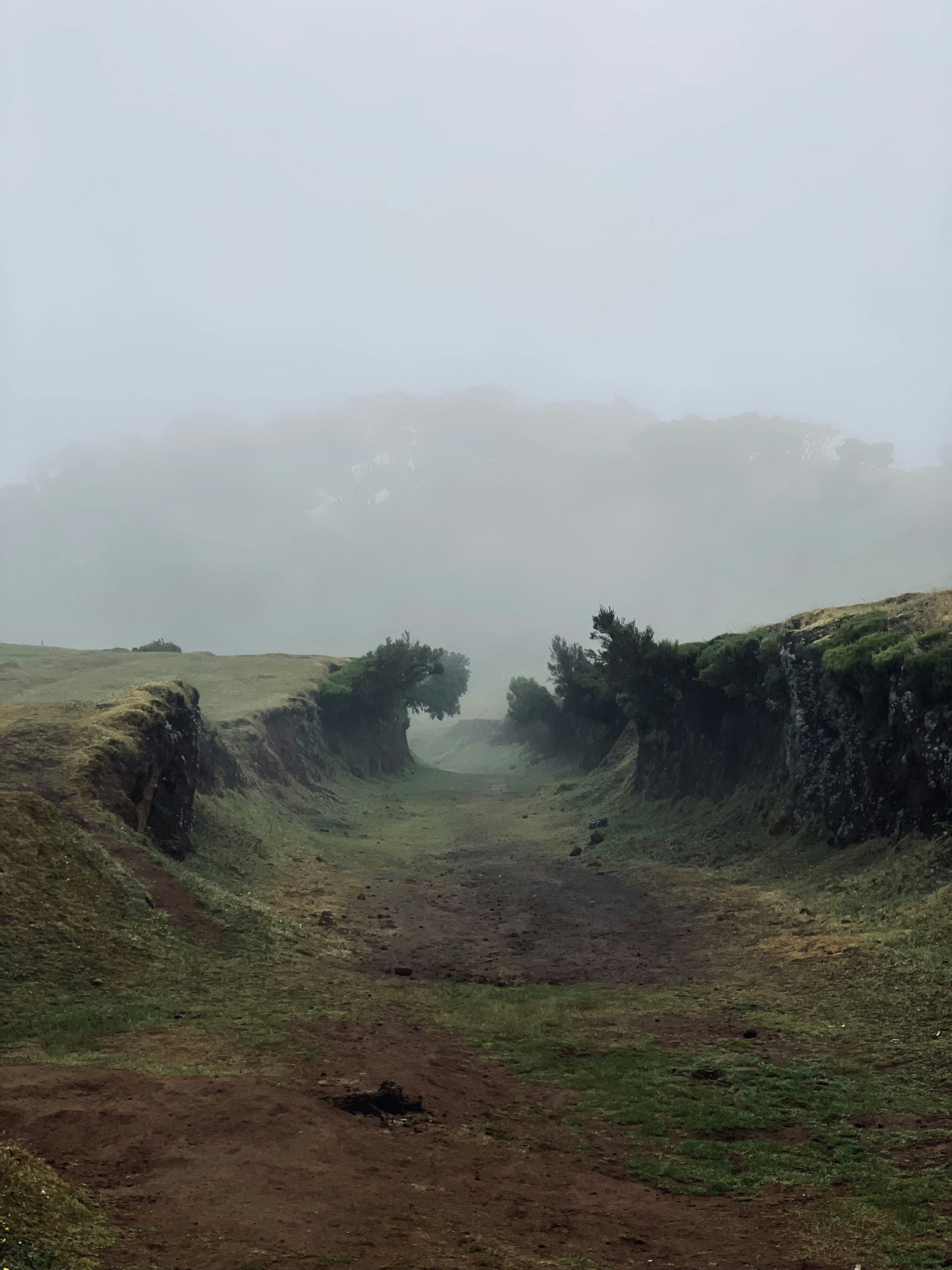 Mist-Wrapped Trench: A Distant Path Through Fog
