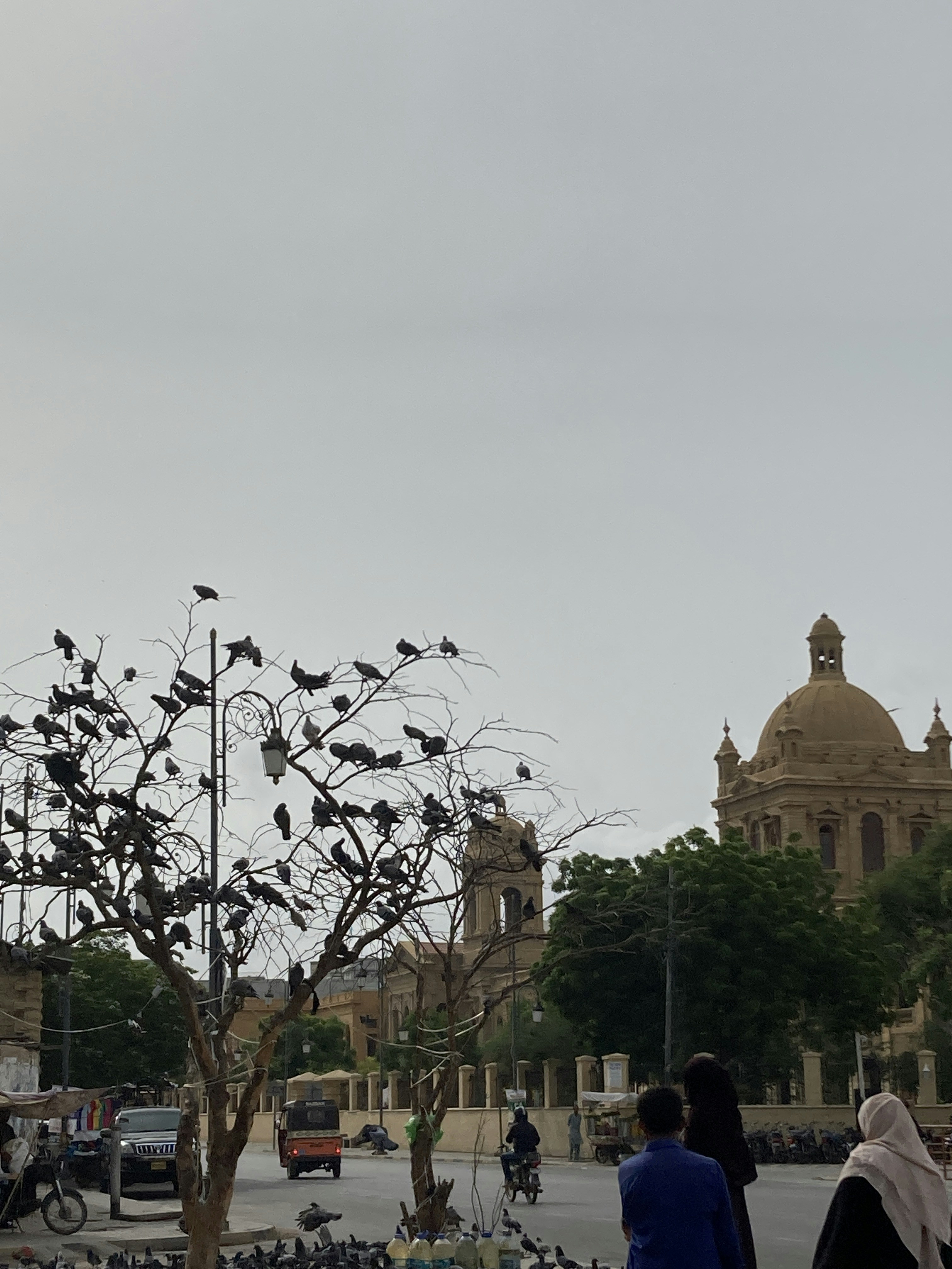 Pigeons, Pedestrians, and a Dome: A City Square Under Grey Skies
