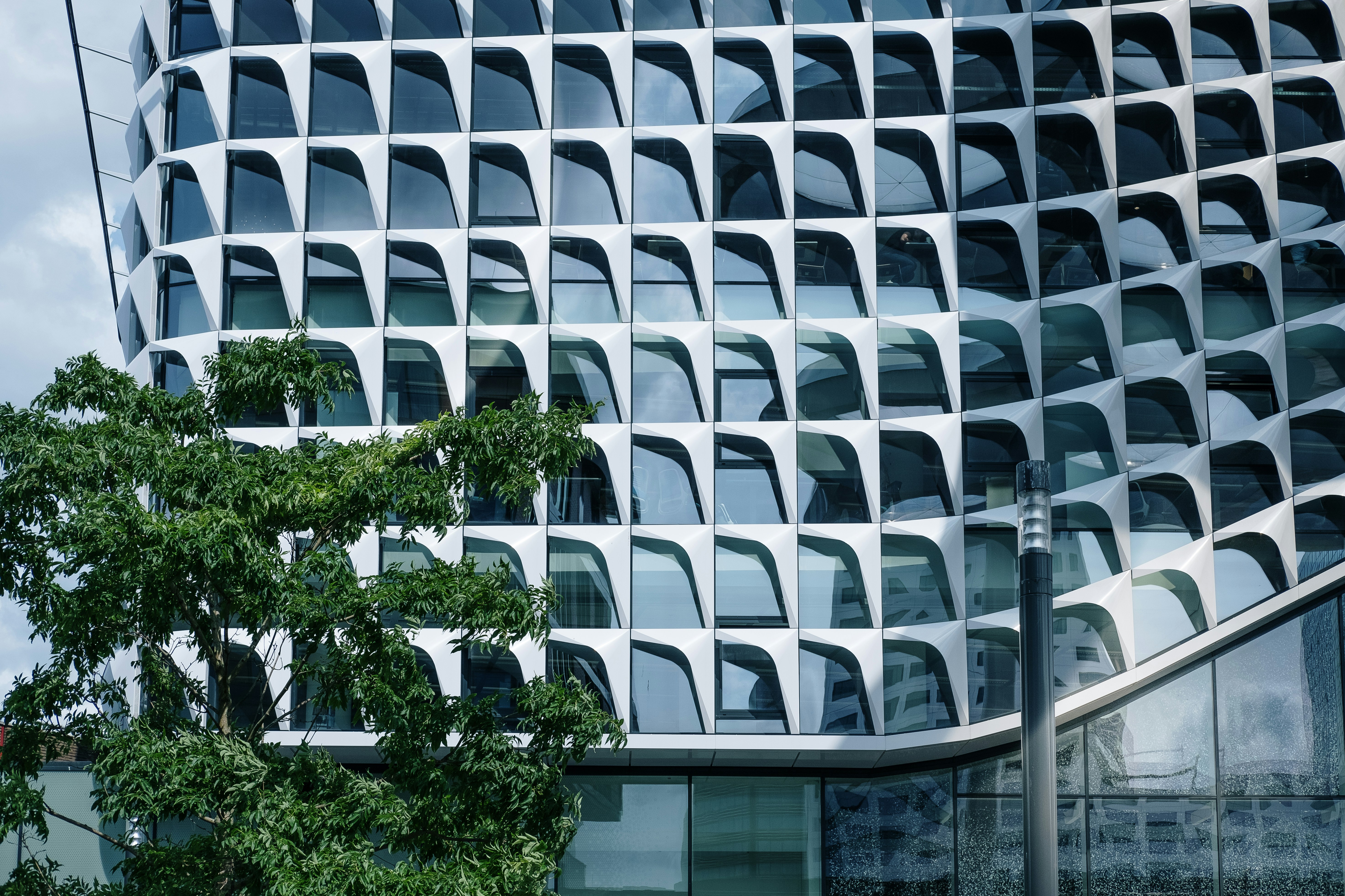 Rhythms of Glass: The Facade's Repeating Arches