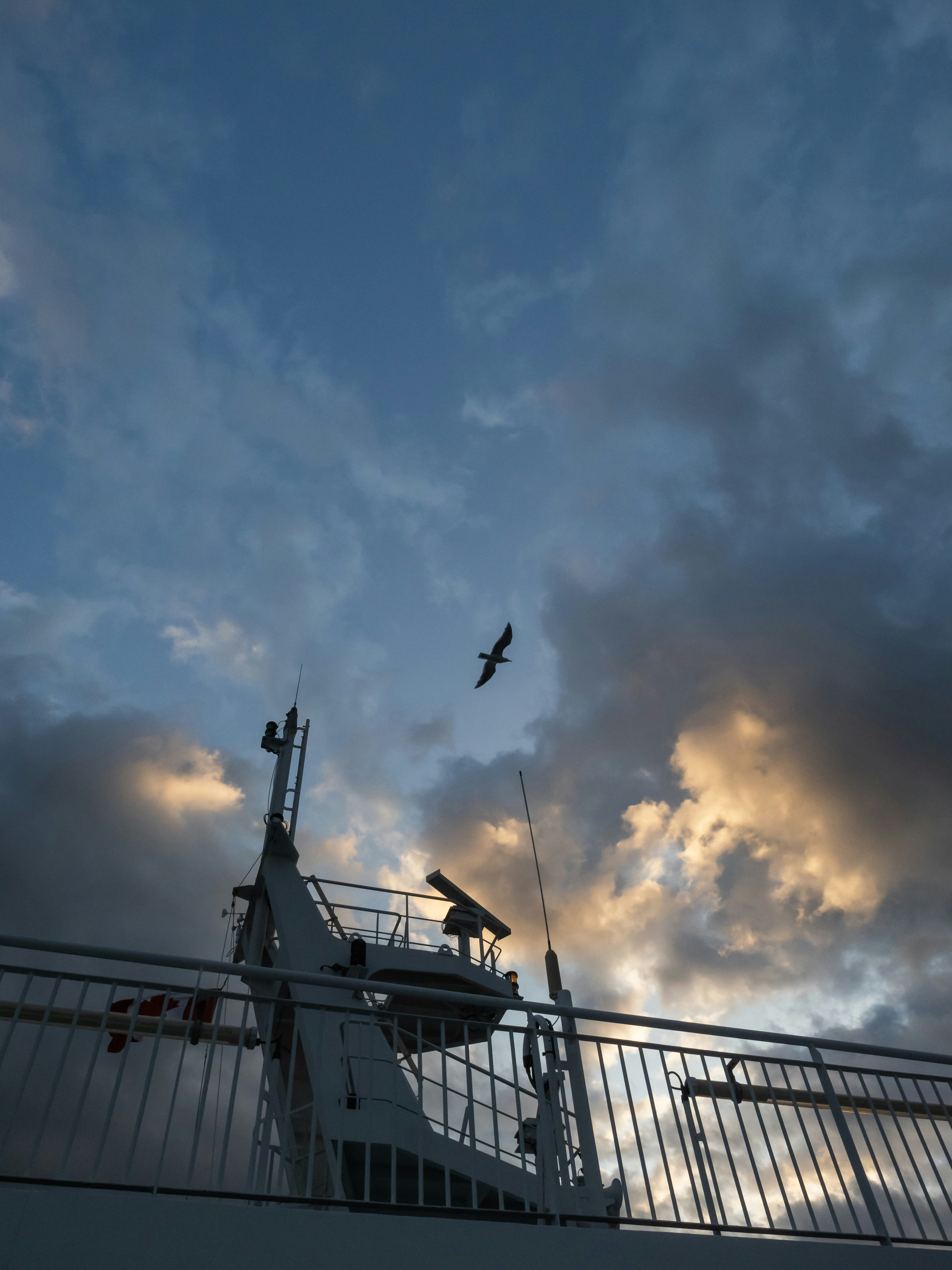 A lone seagull glides above the ship's foredeck as warm sunset clouds glow against a blue sky.