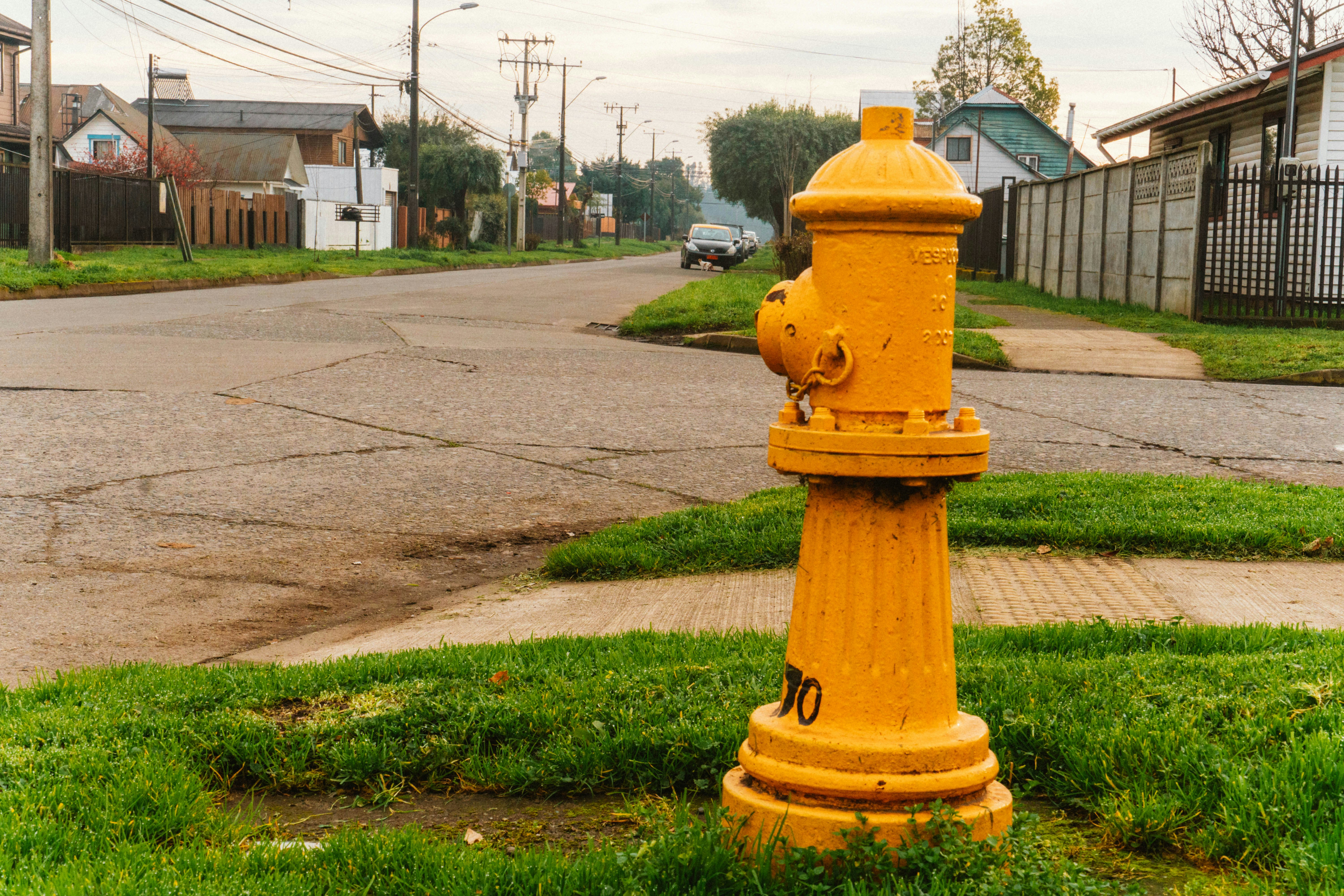 Sunlit Yellow Hydrant Anchoring a Quiet Suburban Street