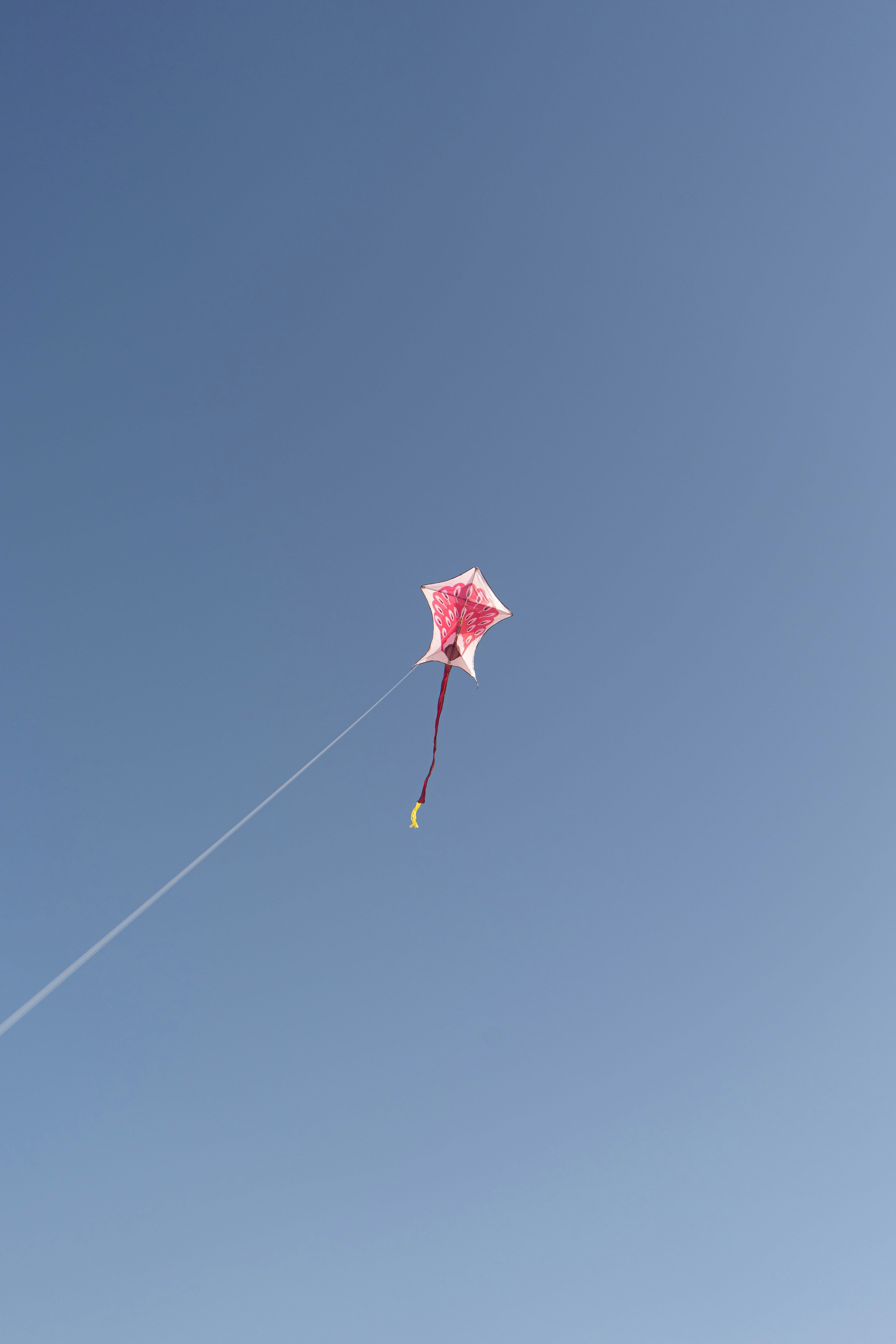 Flying kite in front of the blue sky.
