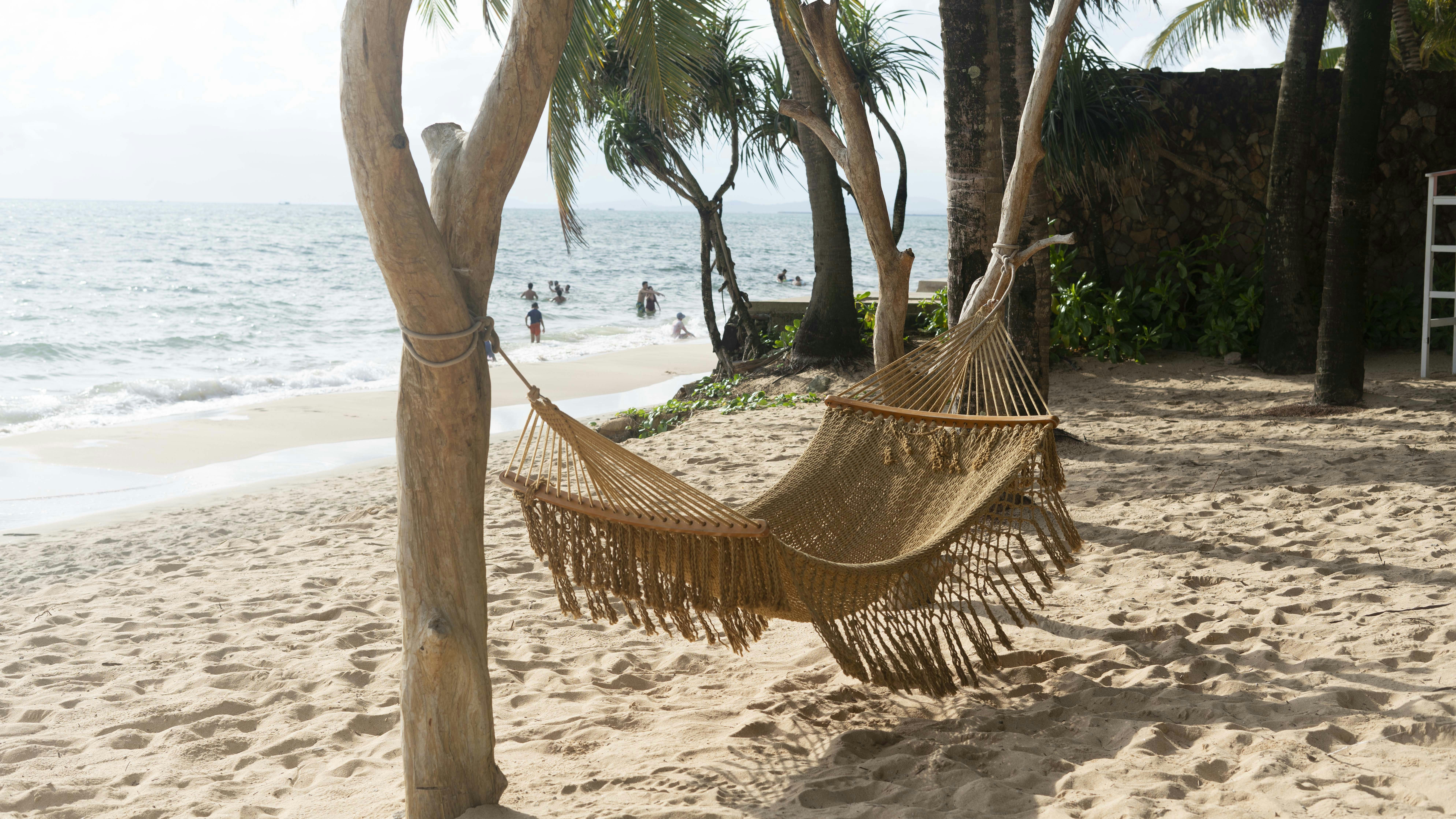 Hammock Between Palm Trunks Over Quiet Caribbean Beach