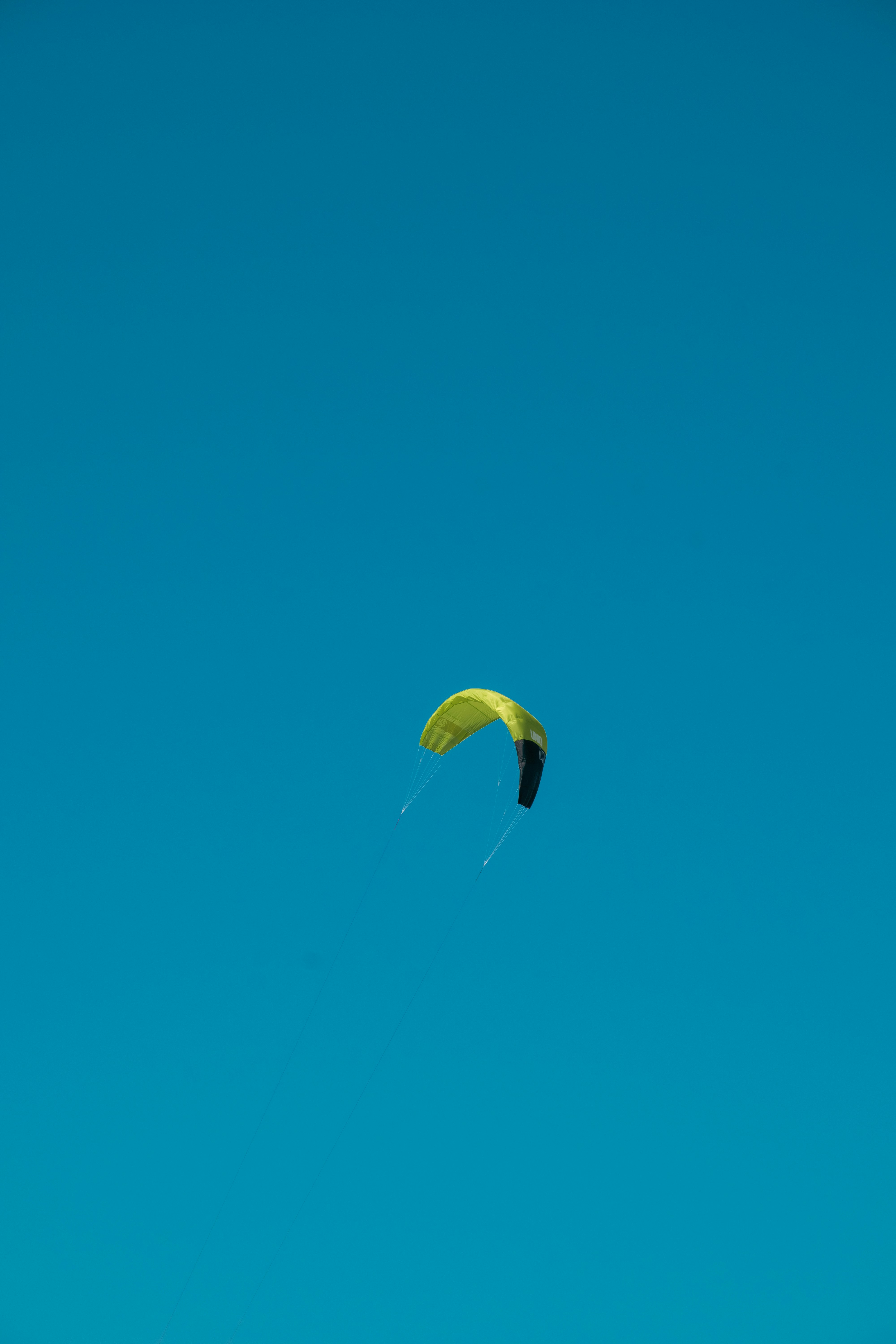 Photo by Dave Visser with Nikon D5300