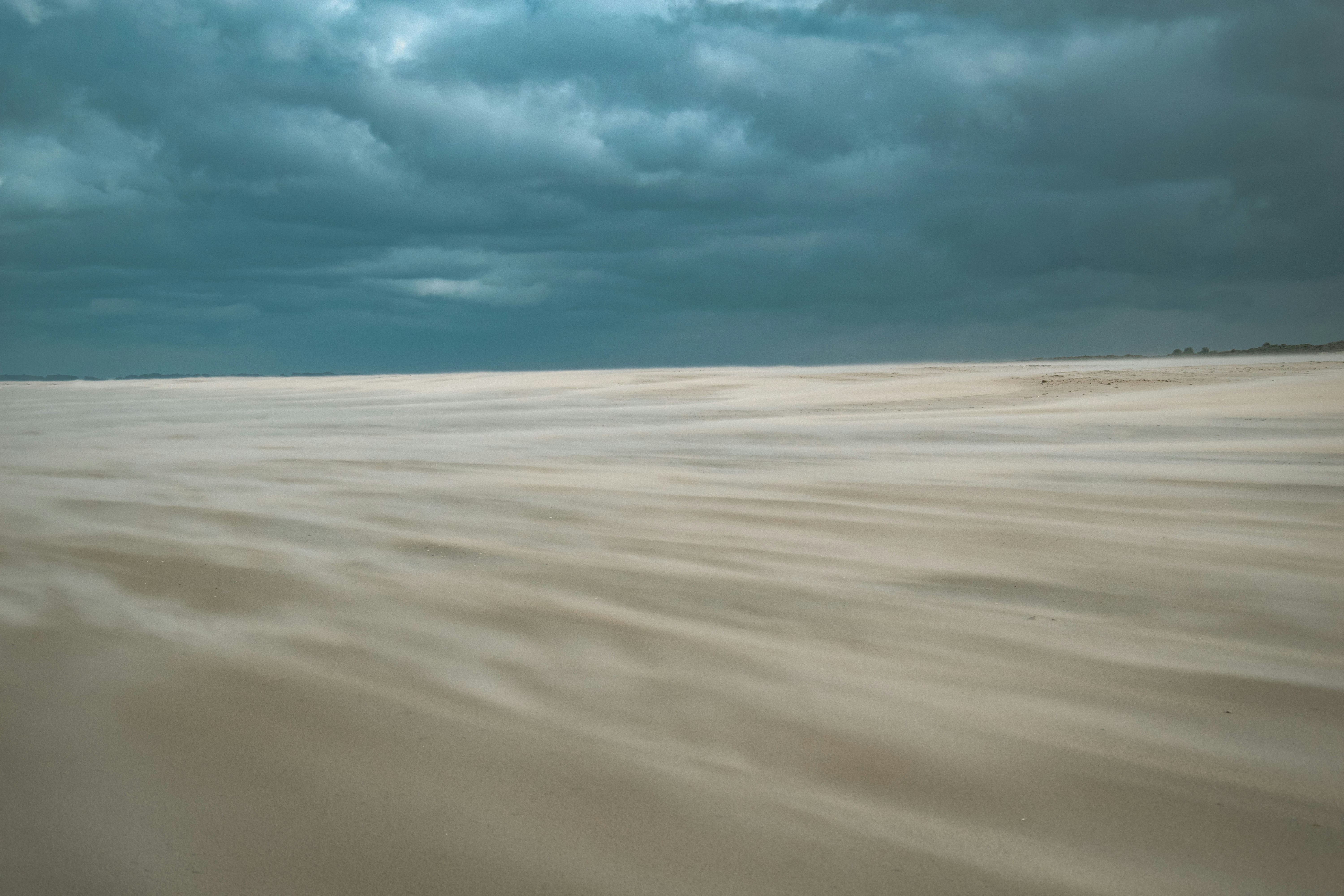 Whispers of the Wind: A Coastal Symphony