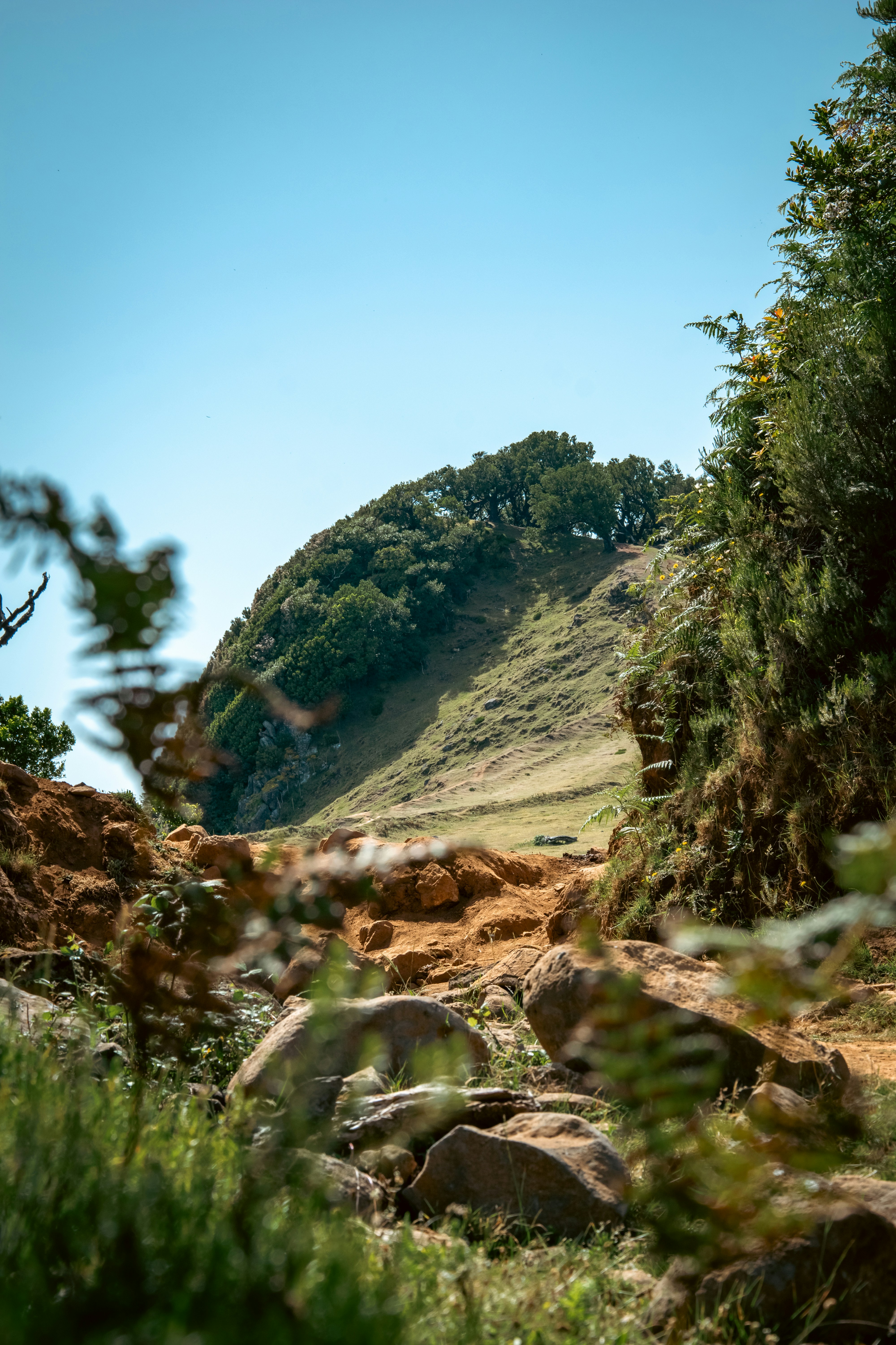 Sunlit Ridge: A Quiet Path Between Stones