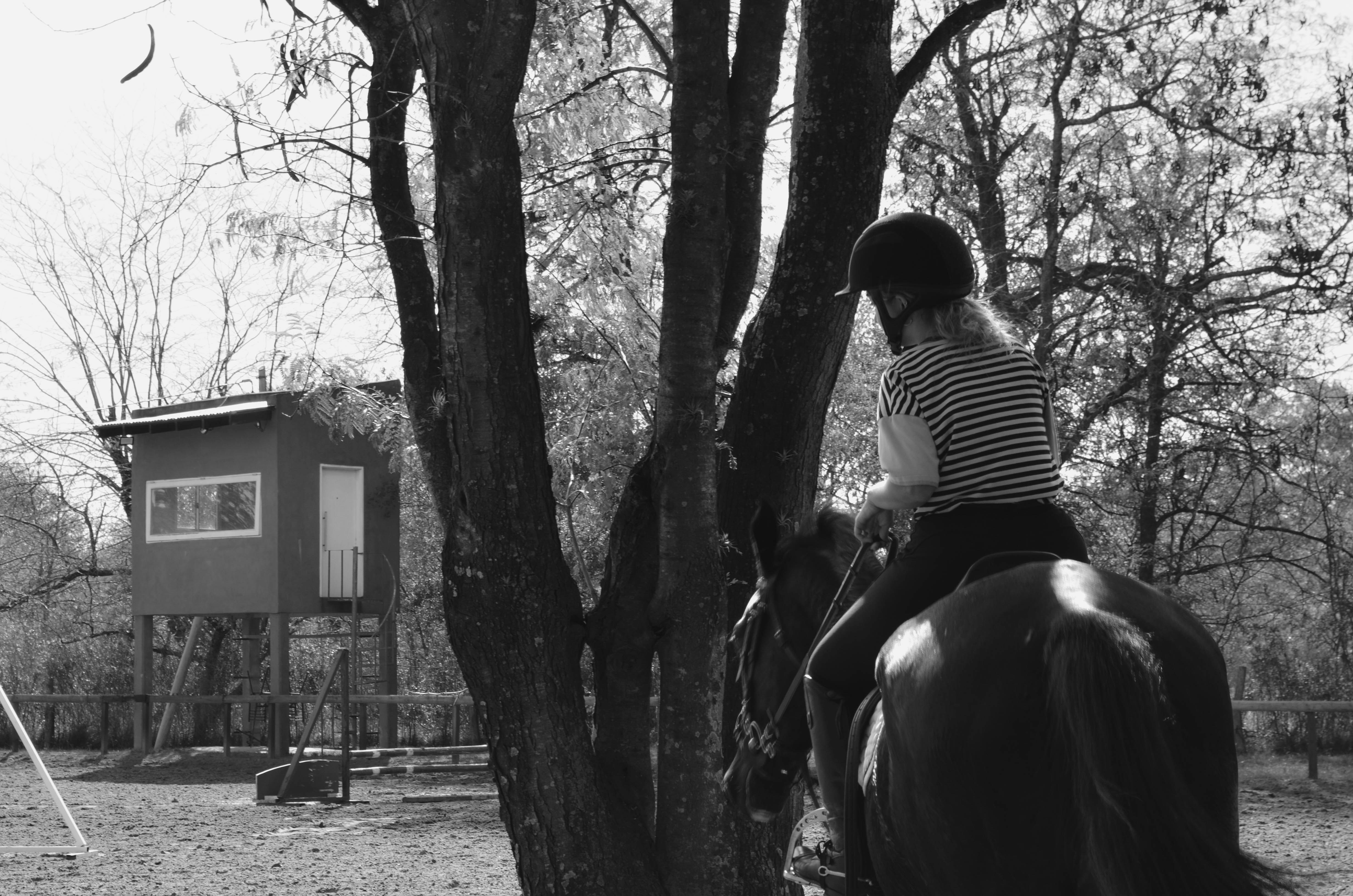 Monochrome Ride: Rider on a Horse by a Park Hut Beneath Bare Trees