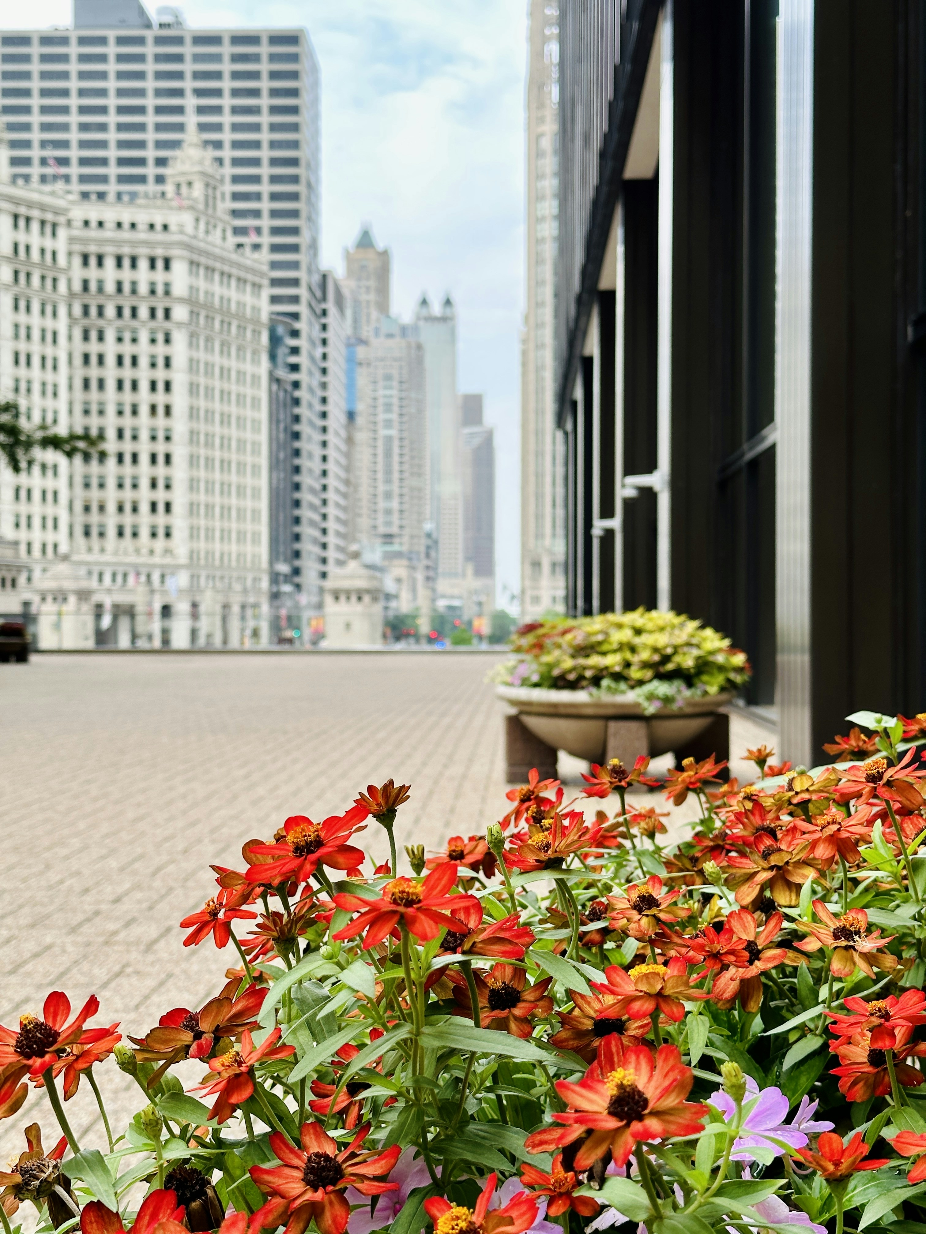Chicago Summer Pictures | Download Free Images on Unsplash